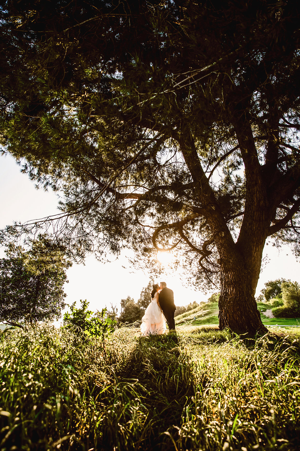 gallery - Bishop Photography
