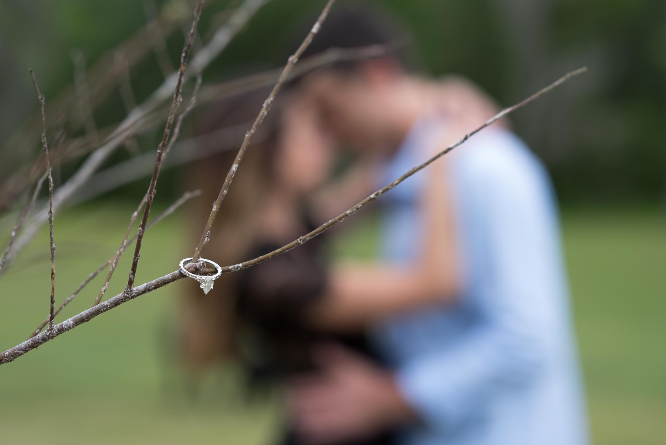 Selective Focus - Billiot Photography and Video