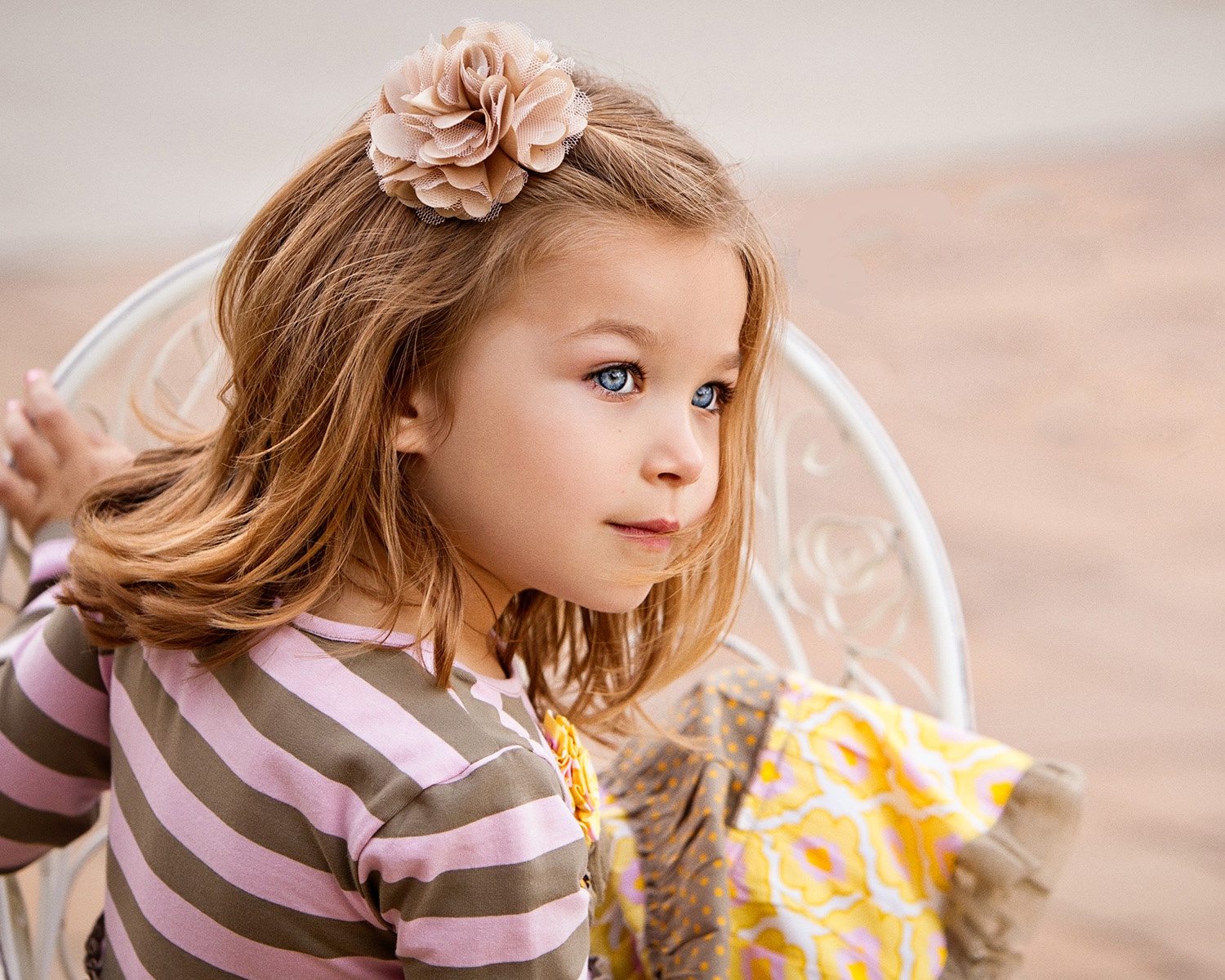 NFocus Photography - nfocus photography