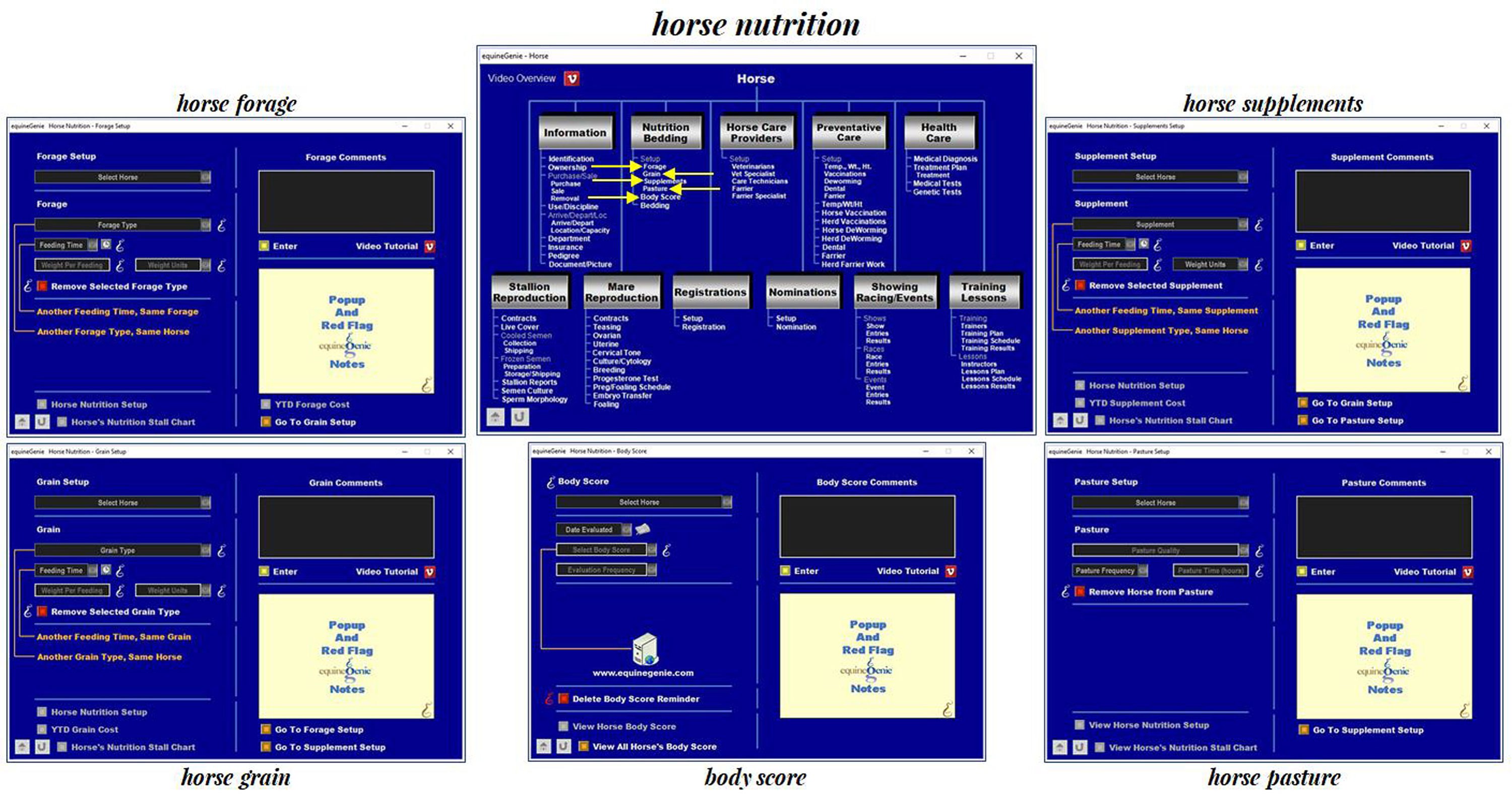 Horse Care Management | Equine Genie - Horse Business Management Software