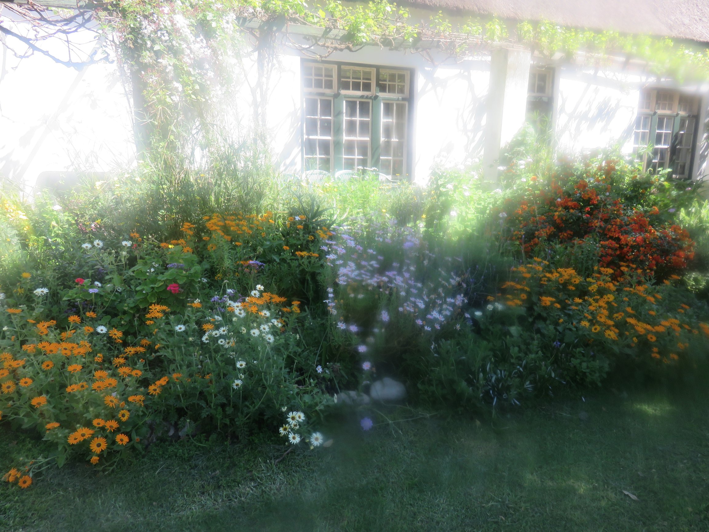 Darling, Town of Flowers -- Part One - Change Your Life Travels