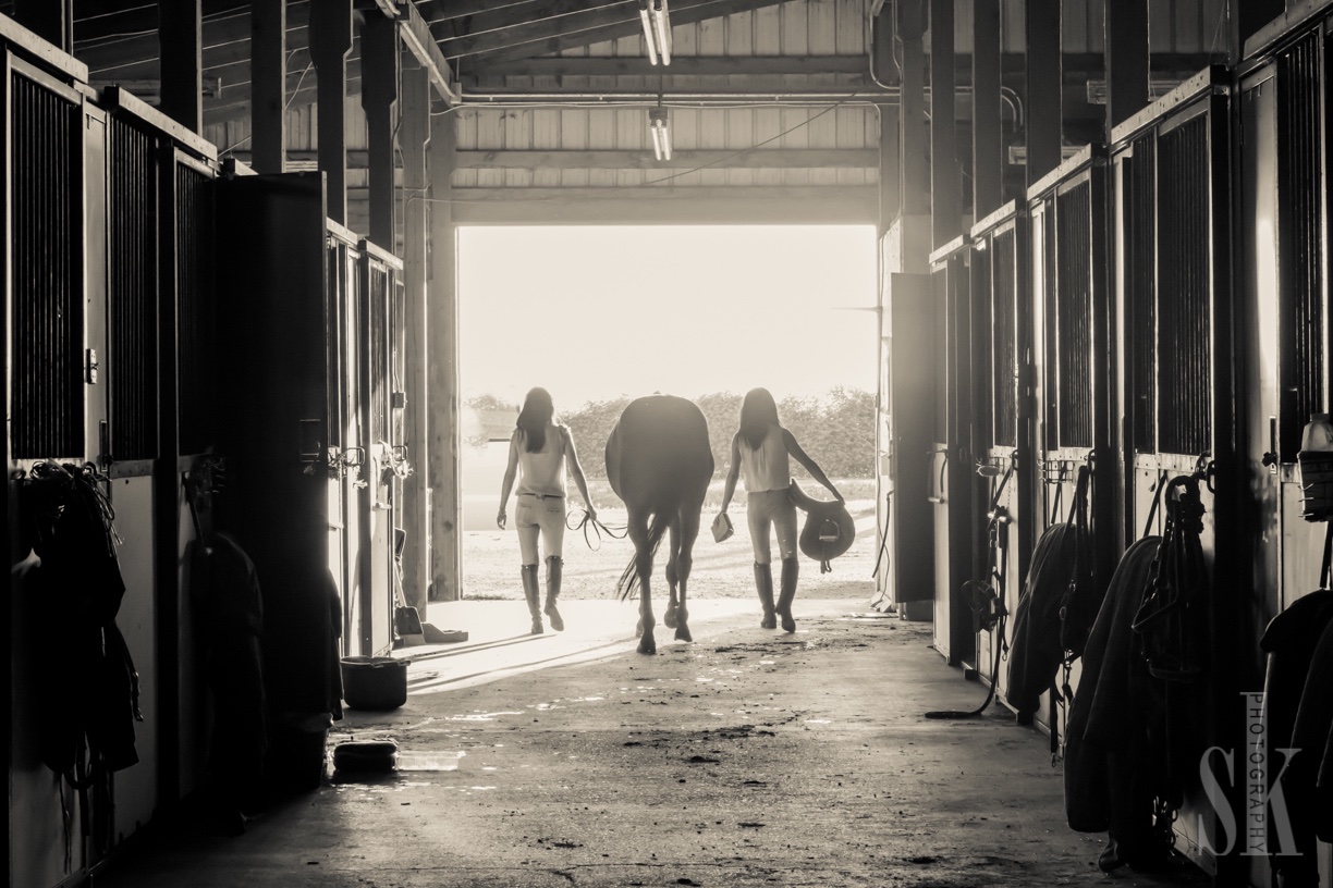 The Balancing Act - k.m.thornton & co., llc