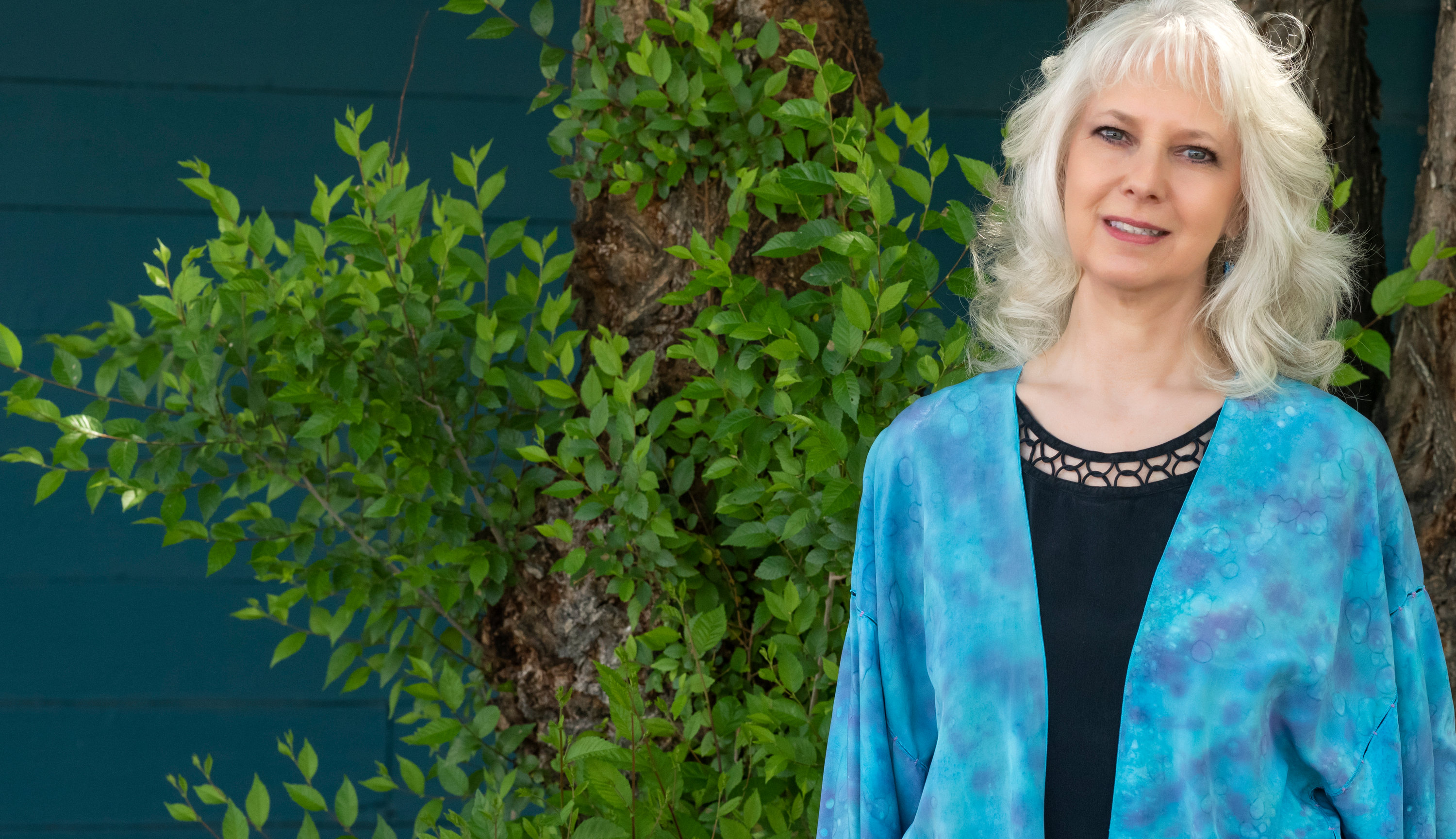 ABOUT THE ARTIST - Lisa Archer Silks