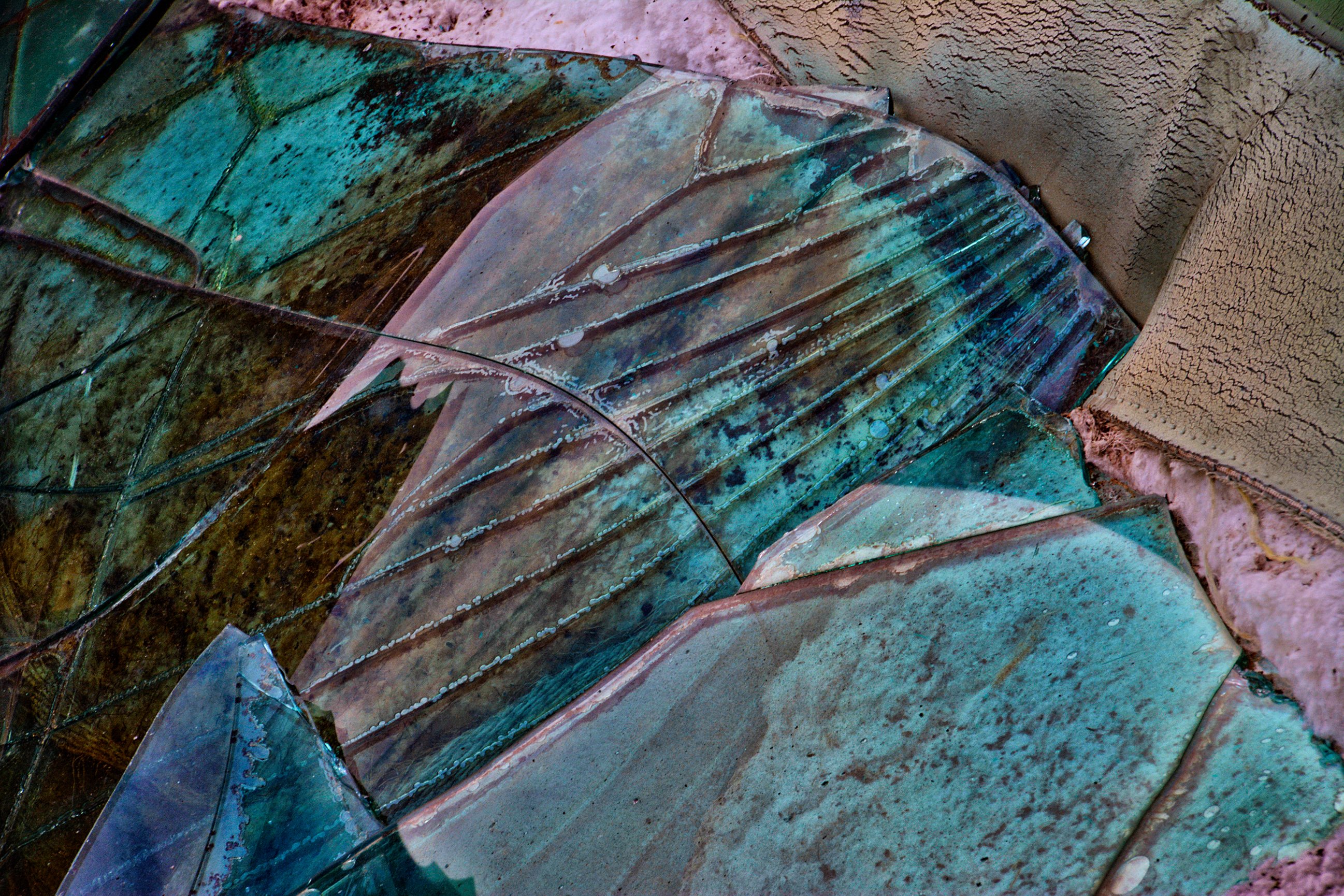 Macro Abstract and Macro Patterns by Mike Moats | Award Winning Macro ...