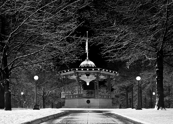 Fine Art/Scenic - Alan Adams Photography