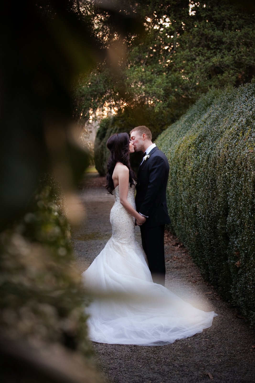 Home - Amy Tucker Photography