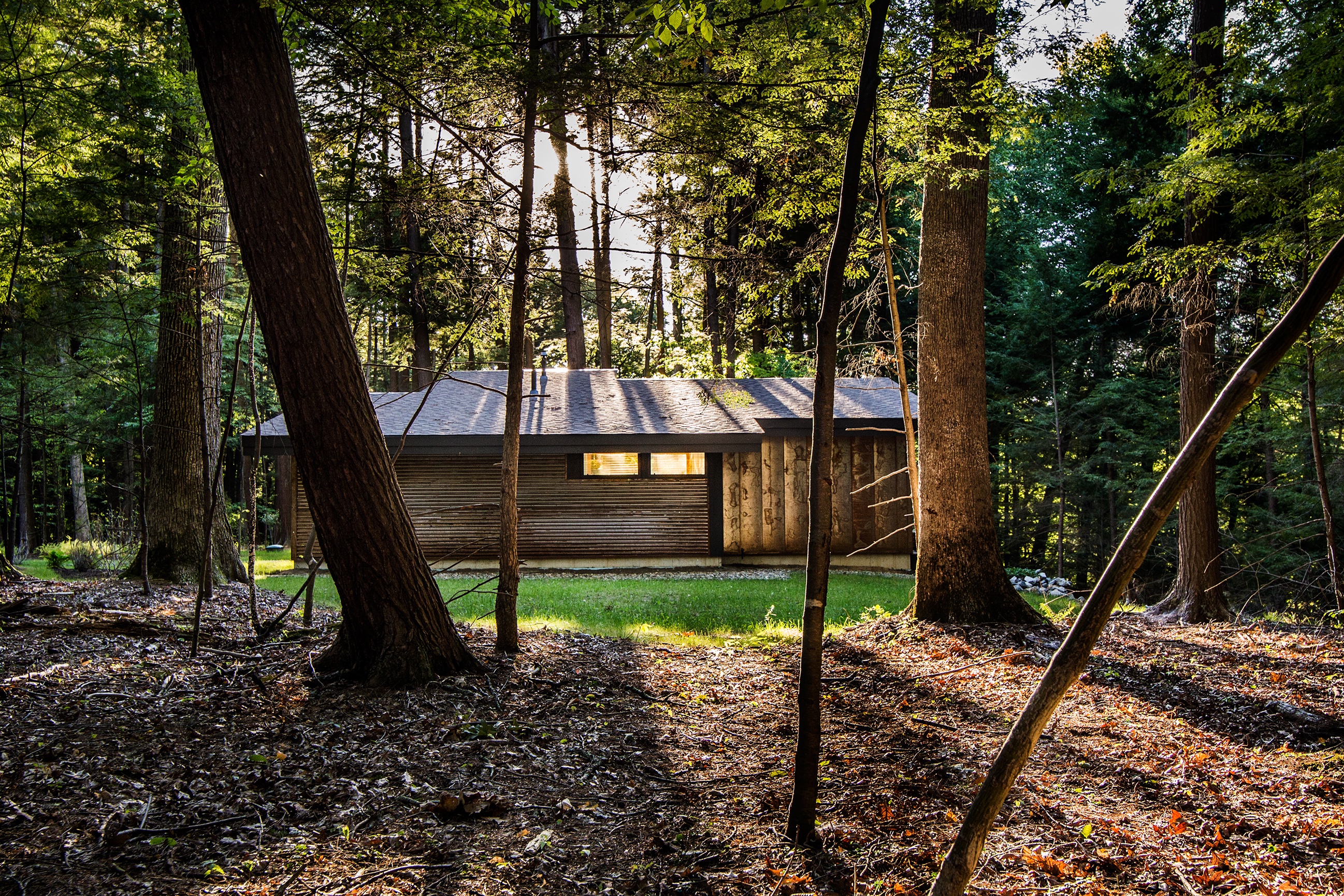 Home - Elizabeth Haynes Photography