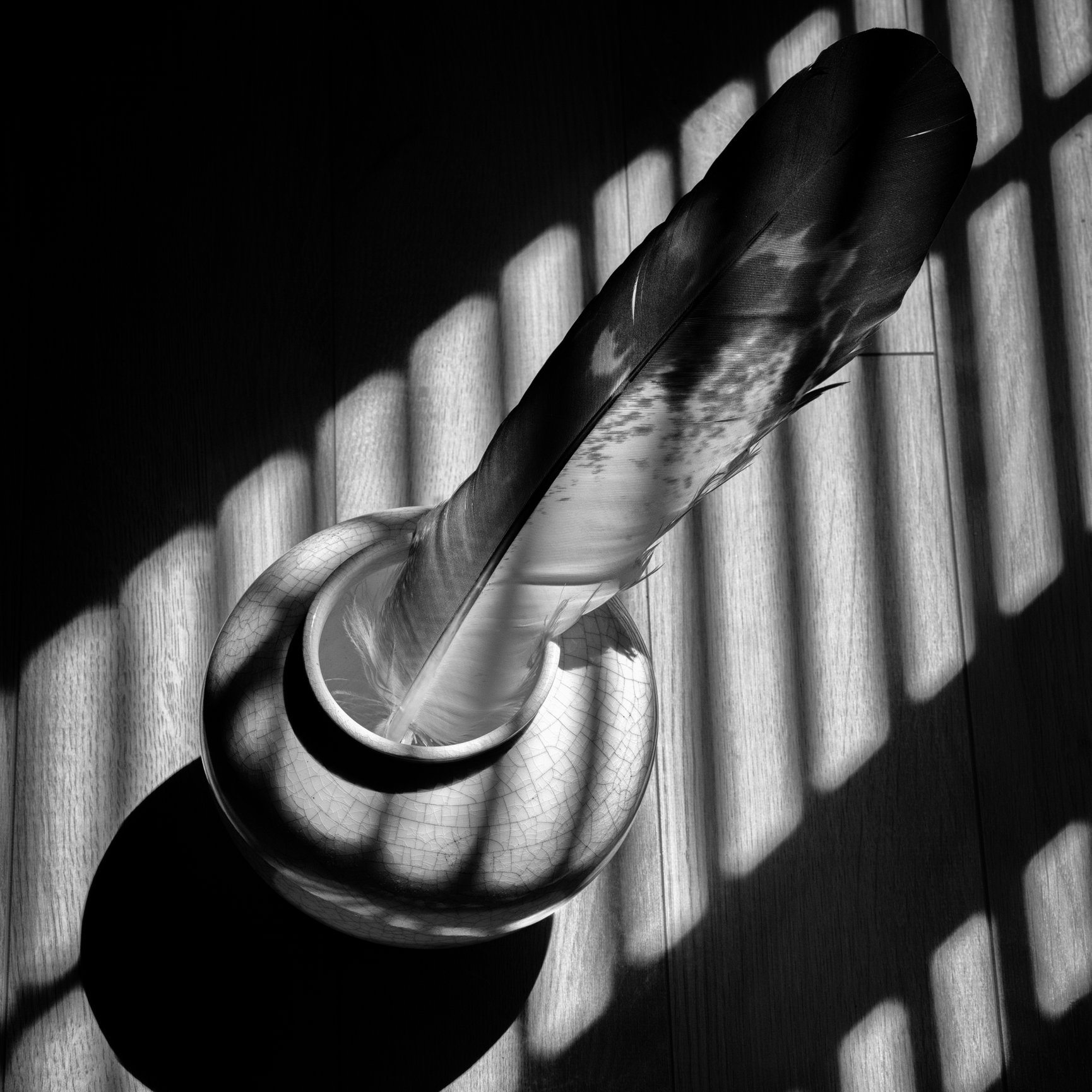 HOME - Steven Kaye Photography