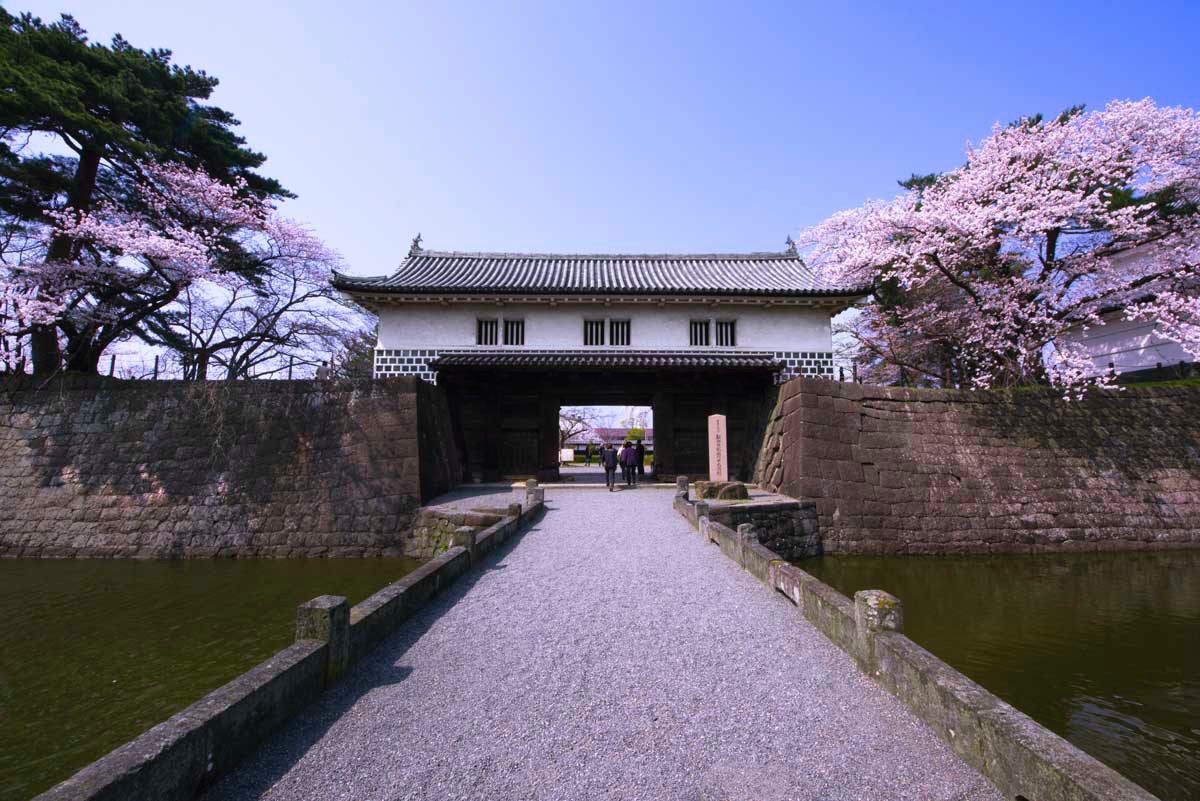 Shibata Castle Happy Hanami 2017 - Blain Harasymiw Photography