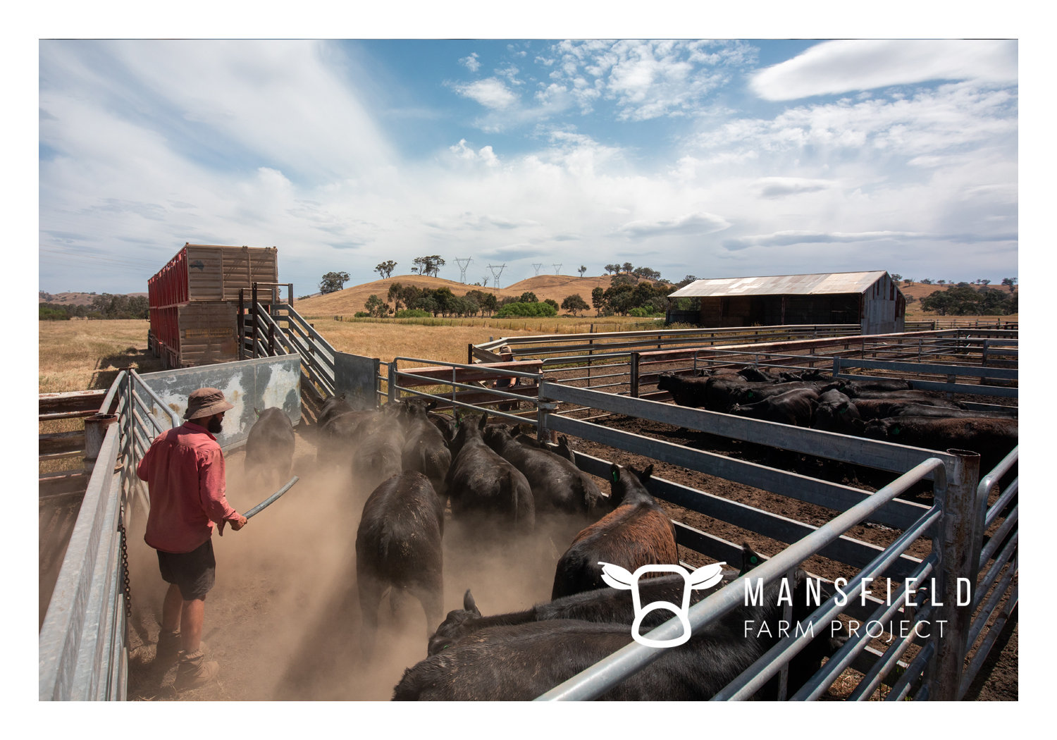 Book a Farm Photo Shoot - sandra lee photography