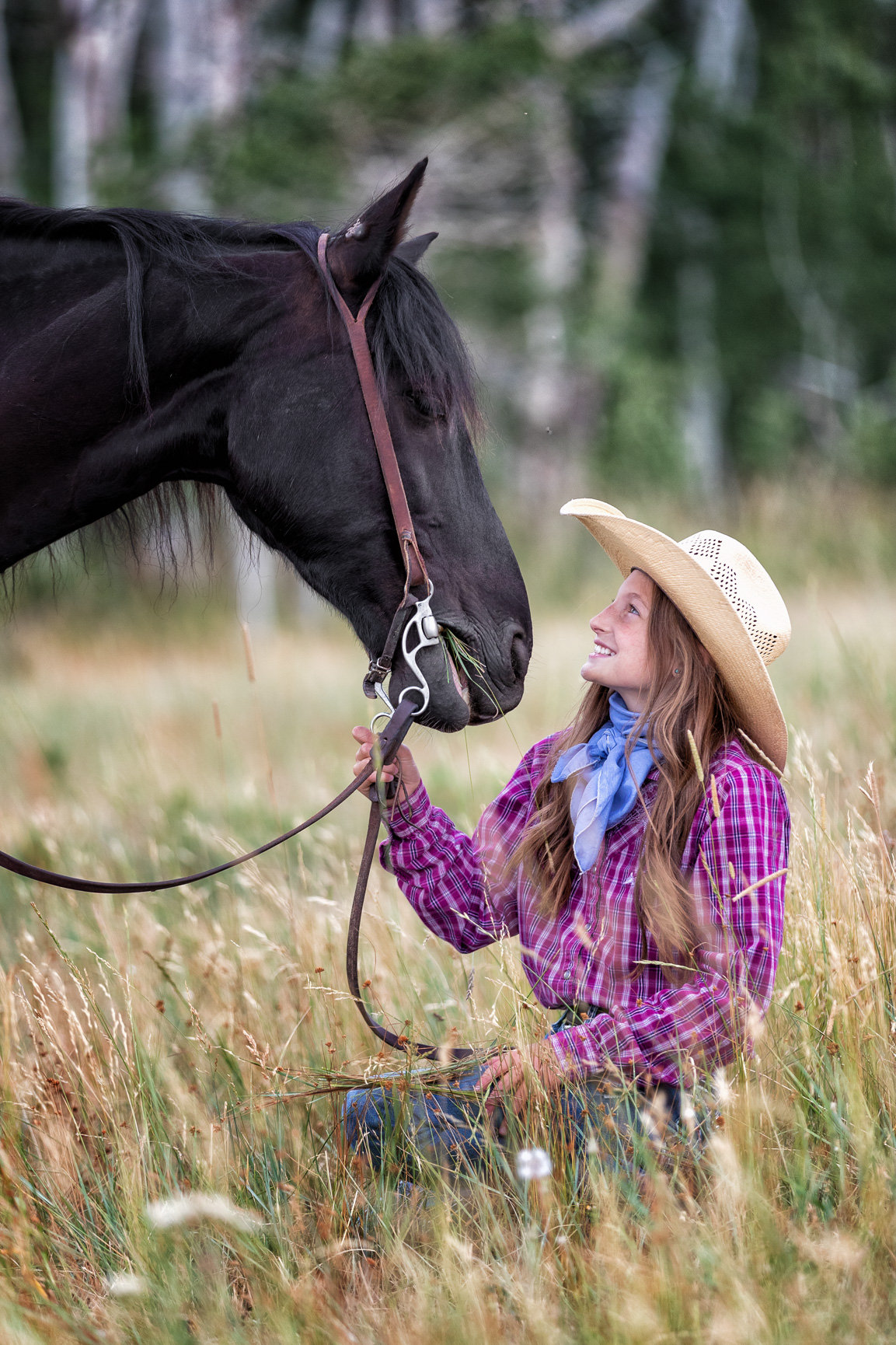 Dallas TX Equine & Equestrian Gallery | Penny Whistle Photography