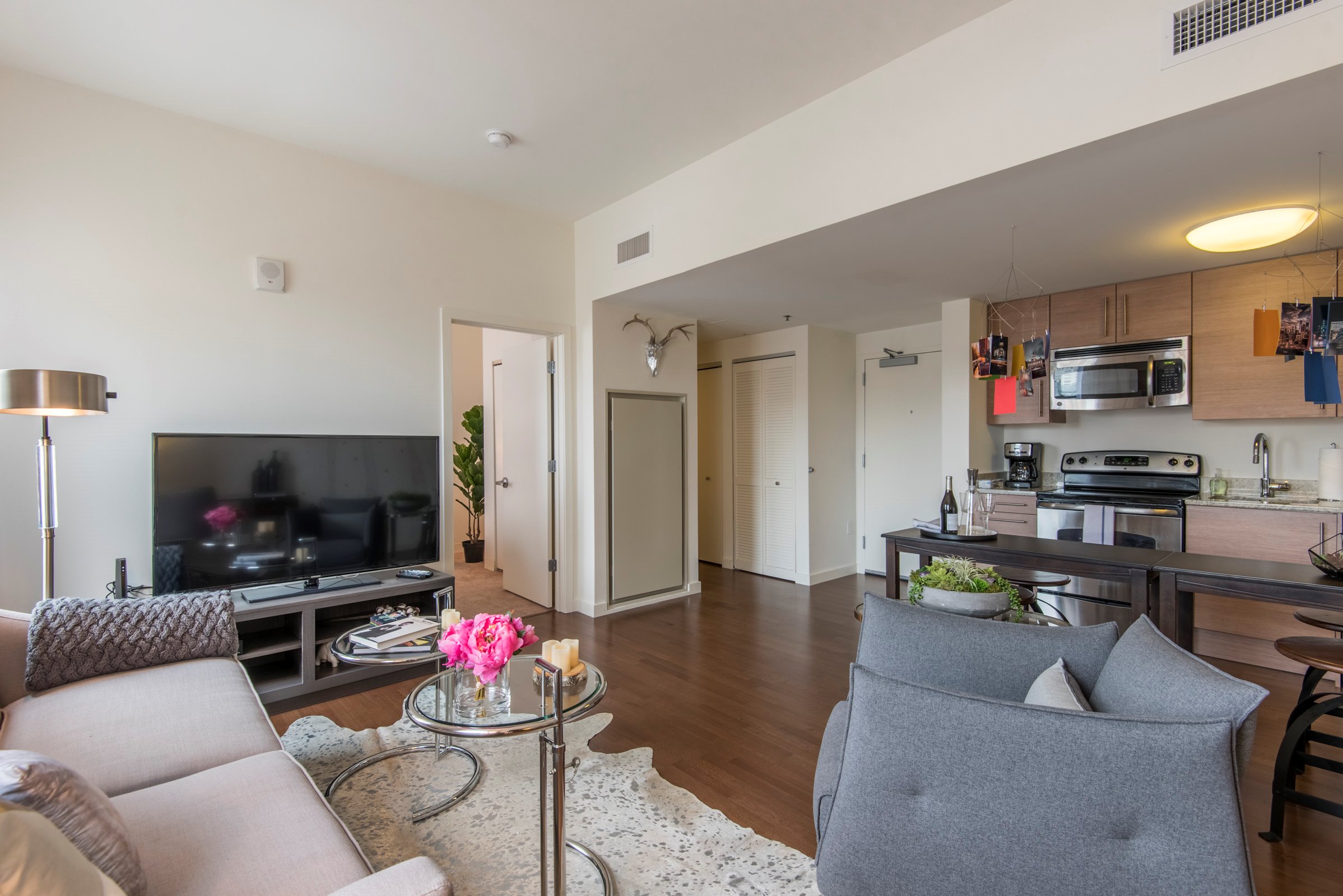 Swank One Bedroom | Washington, DC Hospitality & Multi Family Interior ...