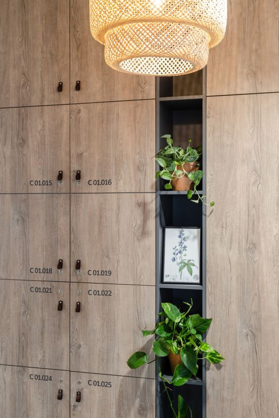 Package Rooms - Delia Designs