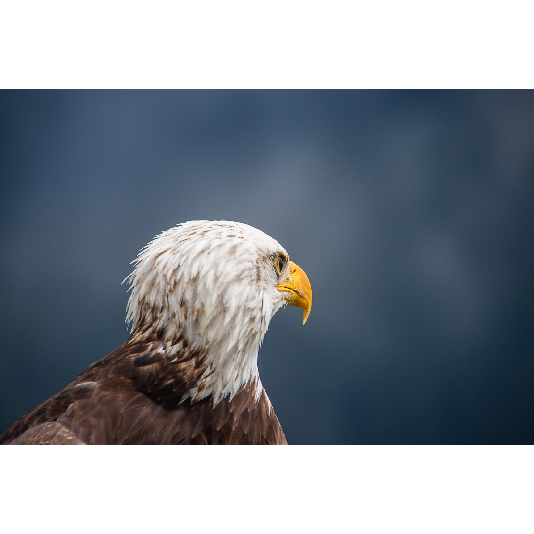 Vancouver BC Fine Art Photographer | Andrea Bruns Photography