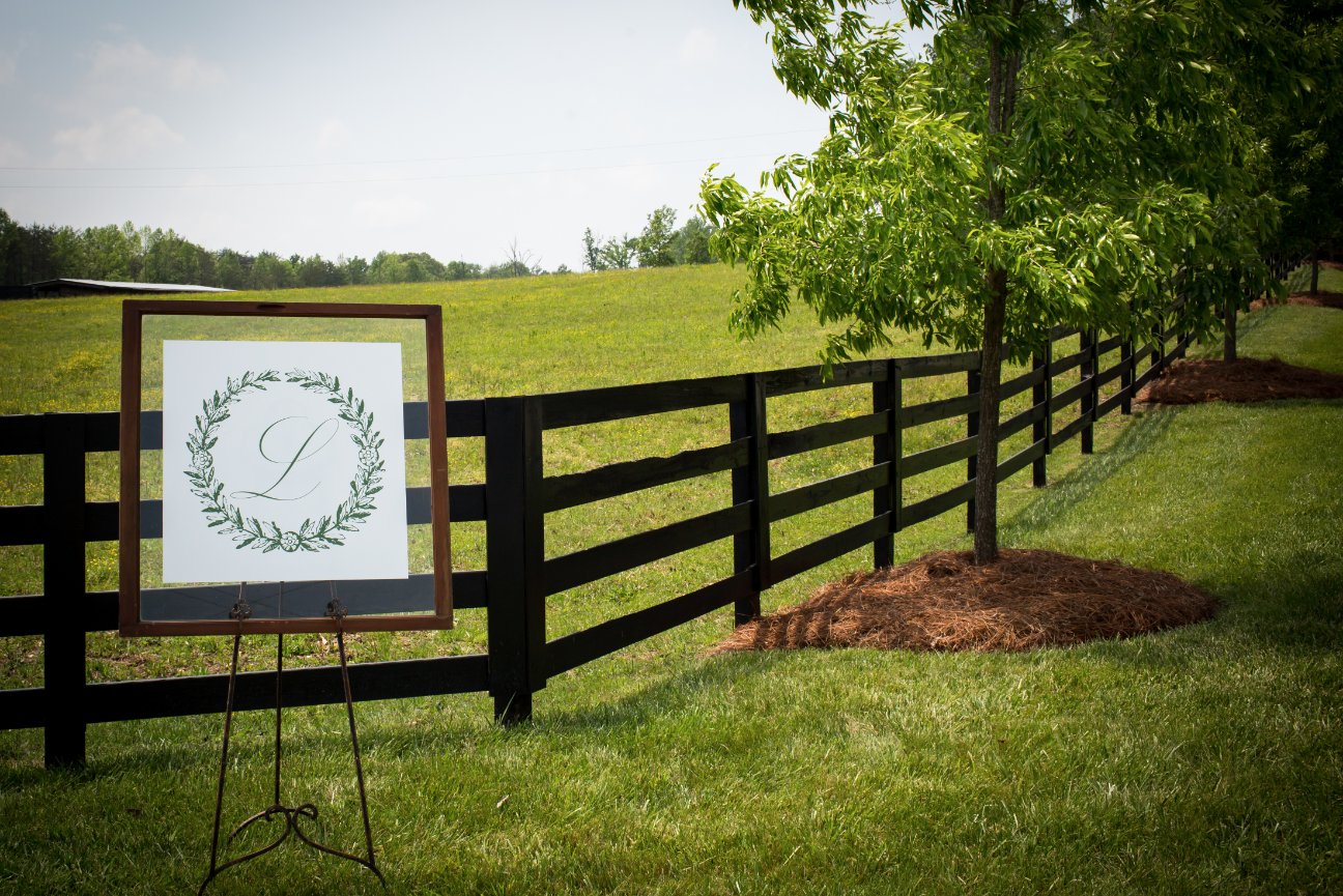 Madison, NC | Greensboro Photographer | Micciche Photography