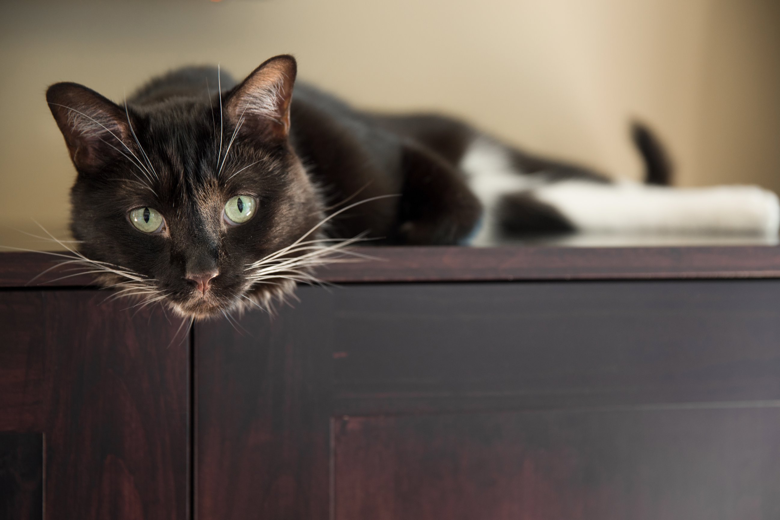 HOME - Side Angle Photography