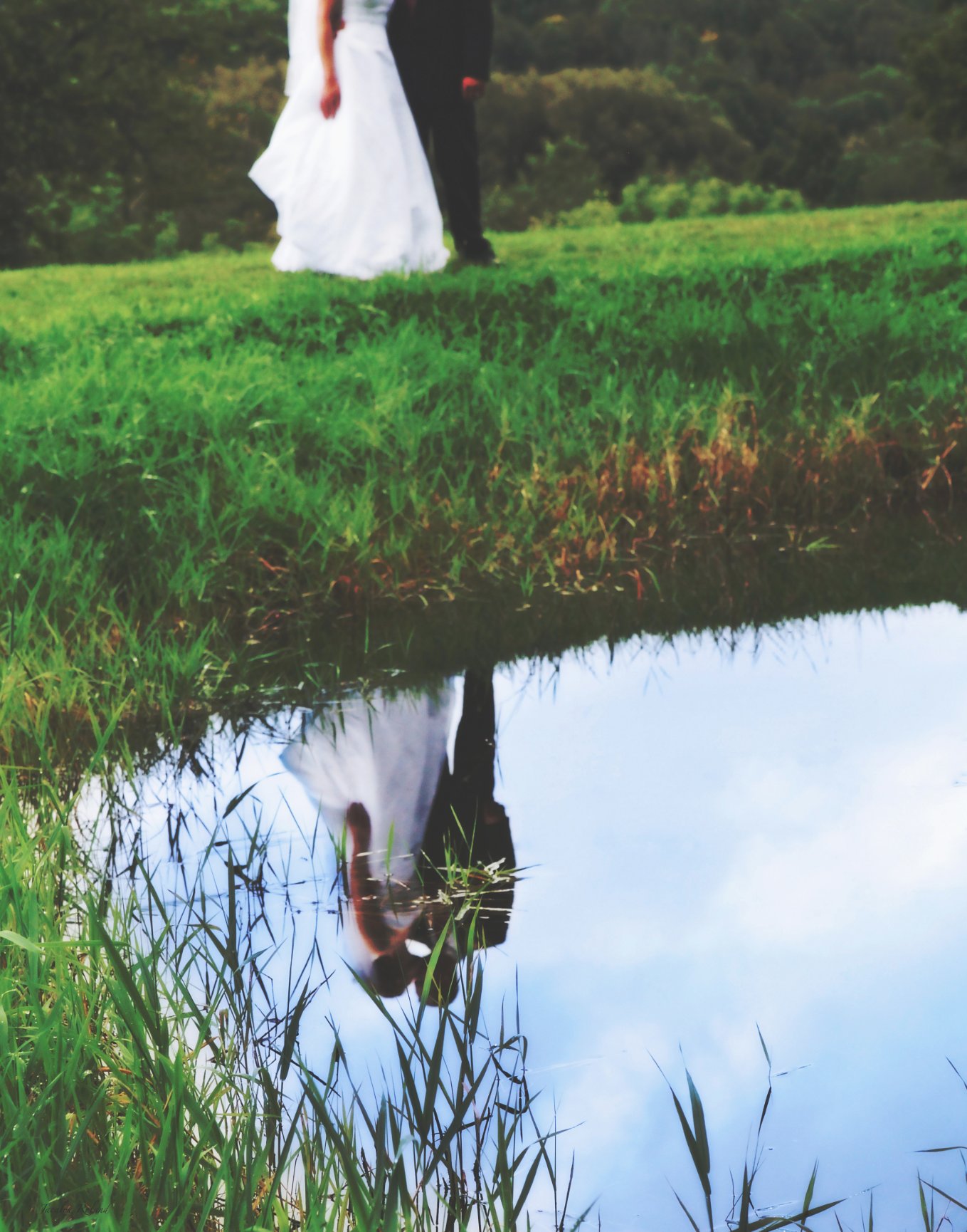 Wedding reflections - Jacalyn Roland Photography