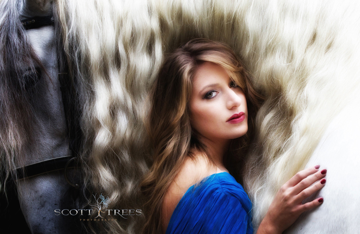 Home - Scott Trees Photography