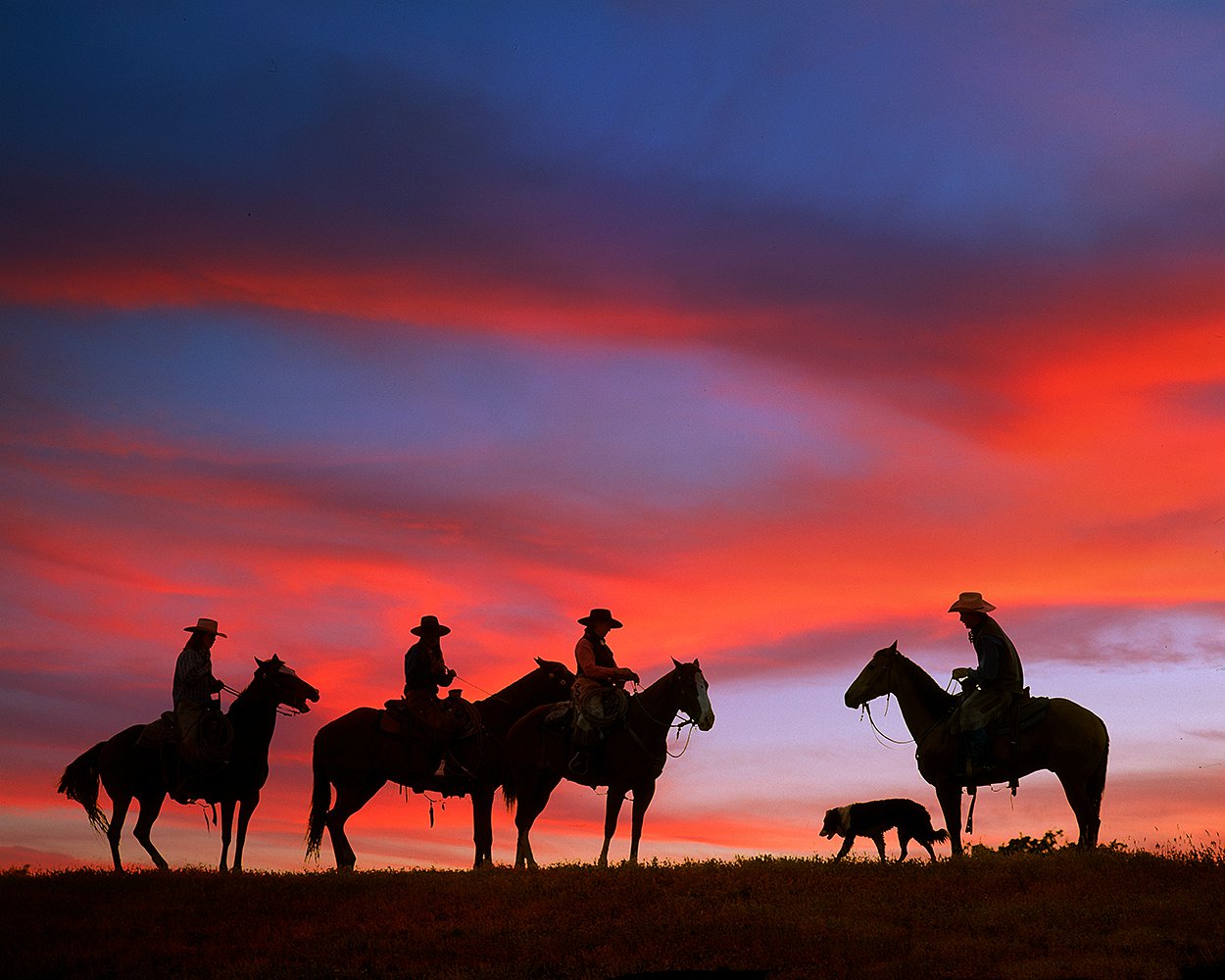 Cowboys & more - Jim Zuckerman photography & photo tours