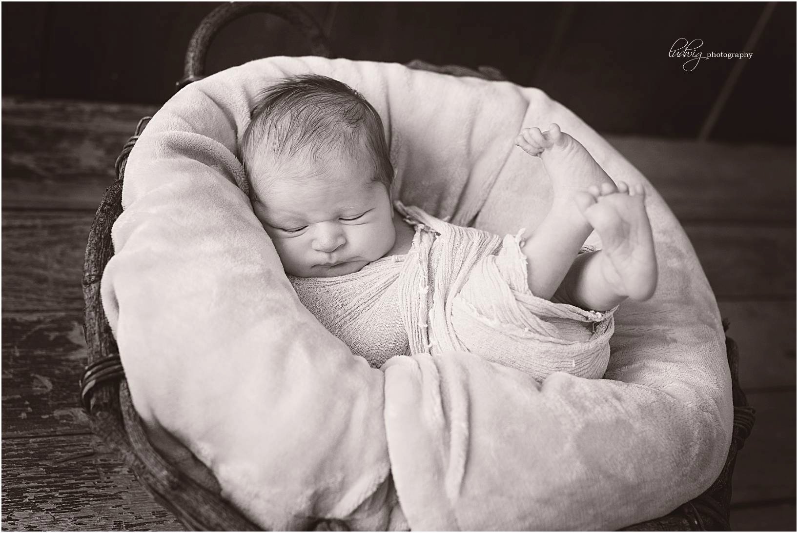 Newborn baby boy at 6 days old - Ludwig Photography
