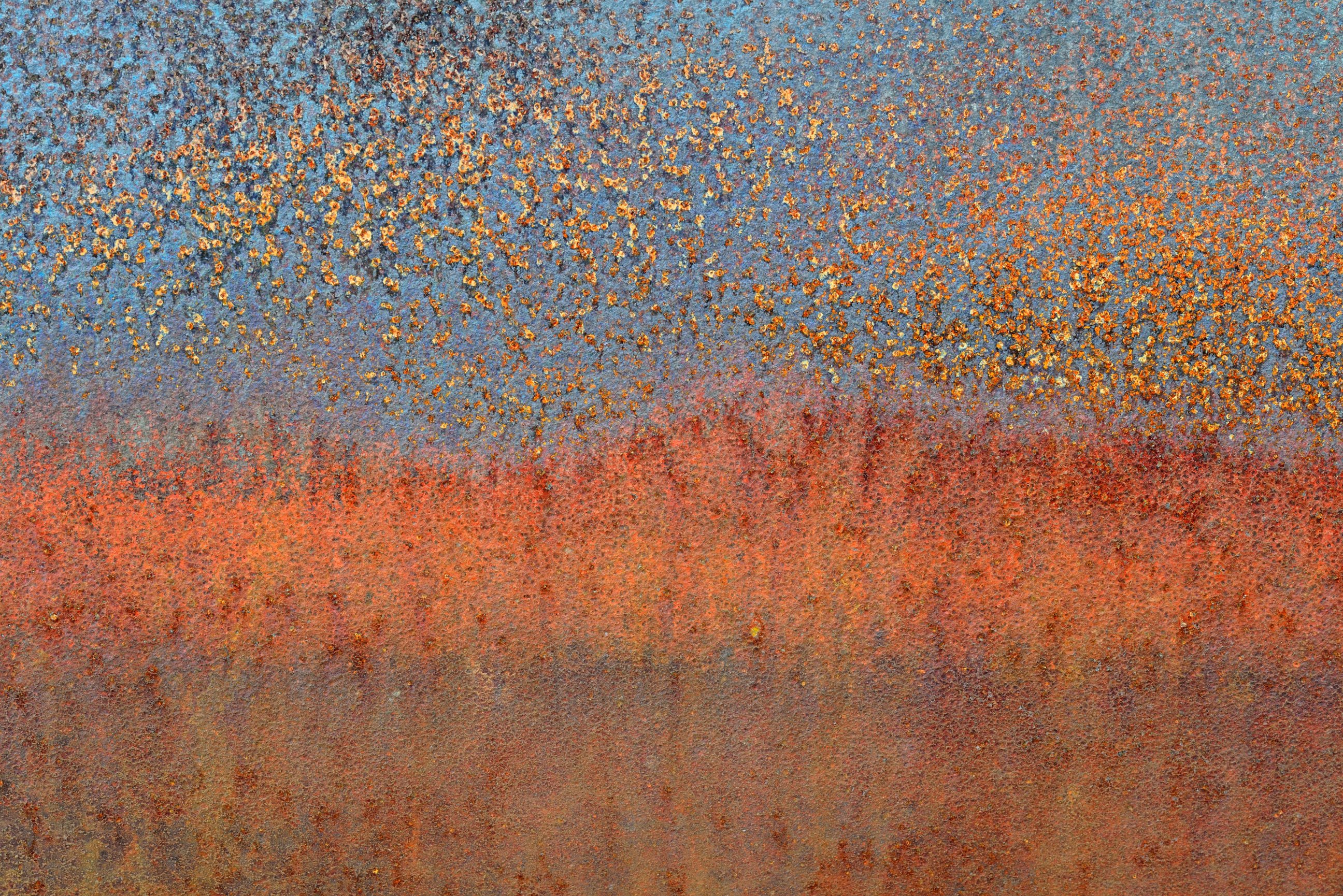 Art Store - Mallory Jackson Photography