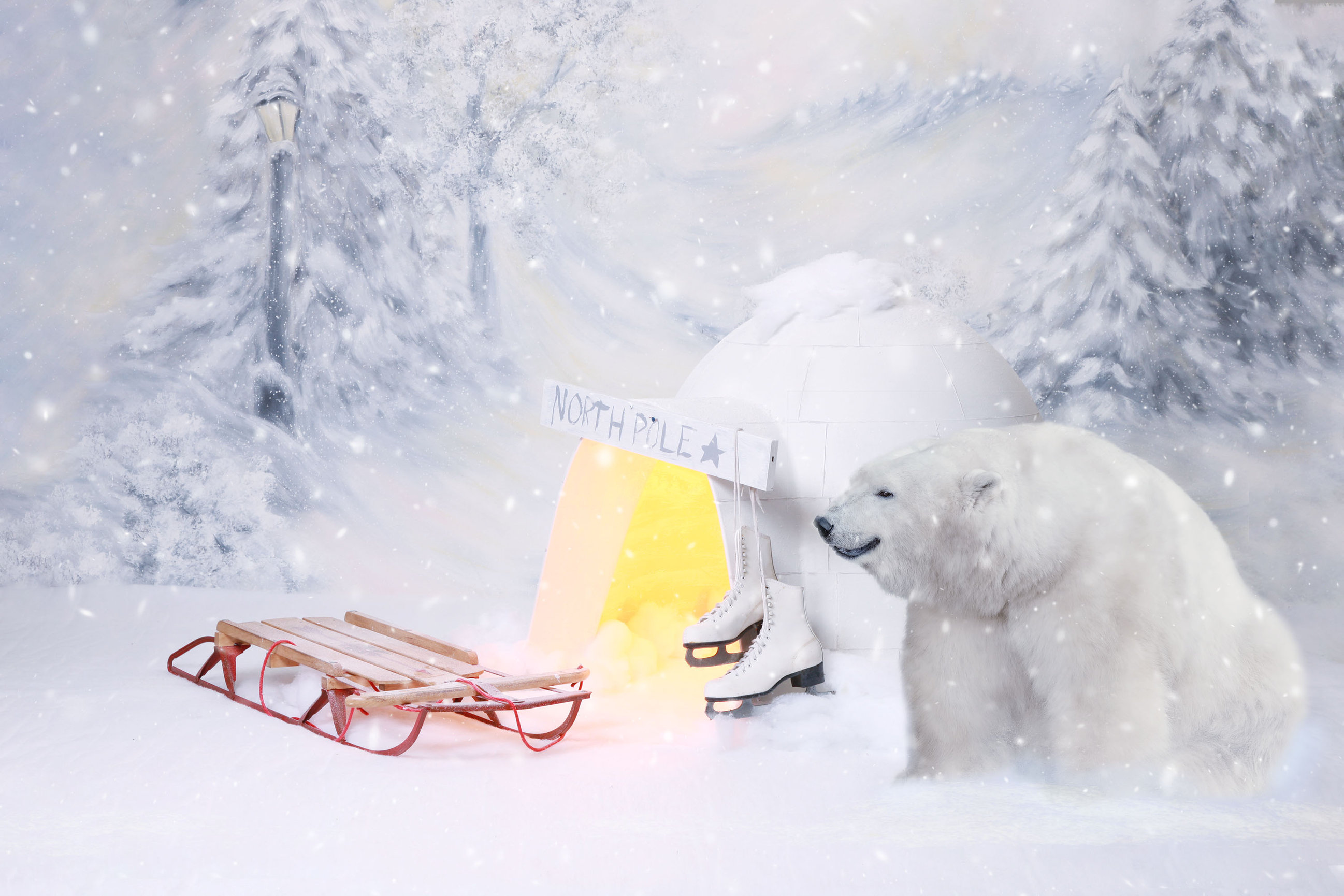 Why Should You Choose a Studio for Winter Photos