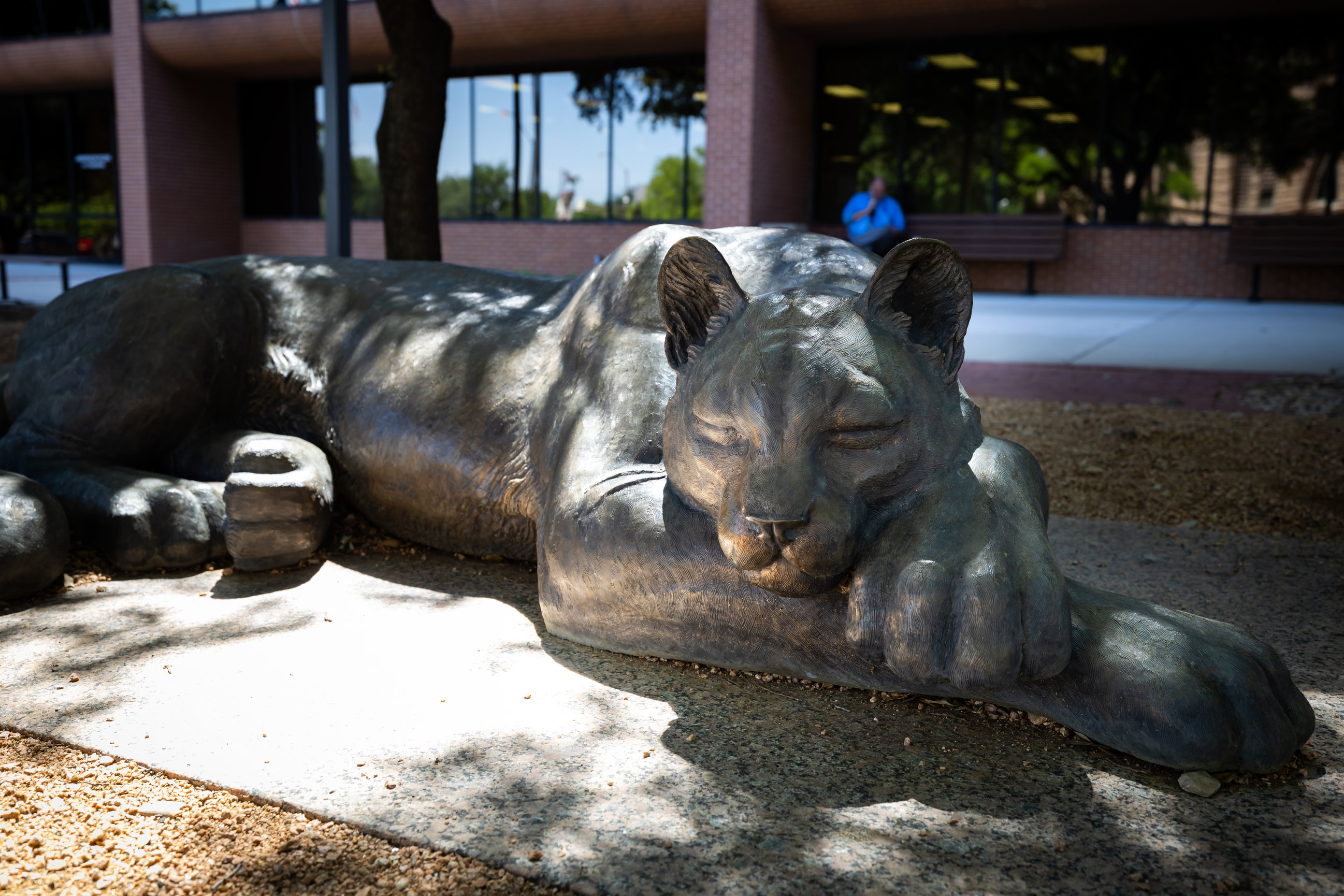 Howdy from Fort Worth, TX - The Panther City - Micciche Corporate ...