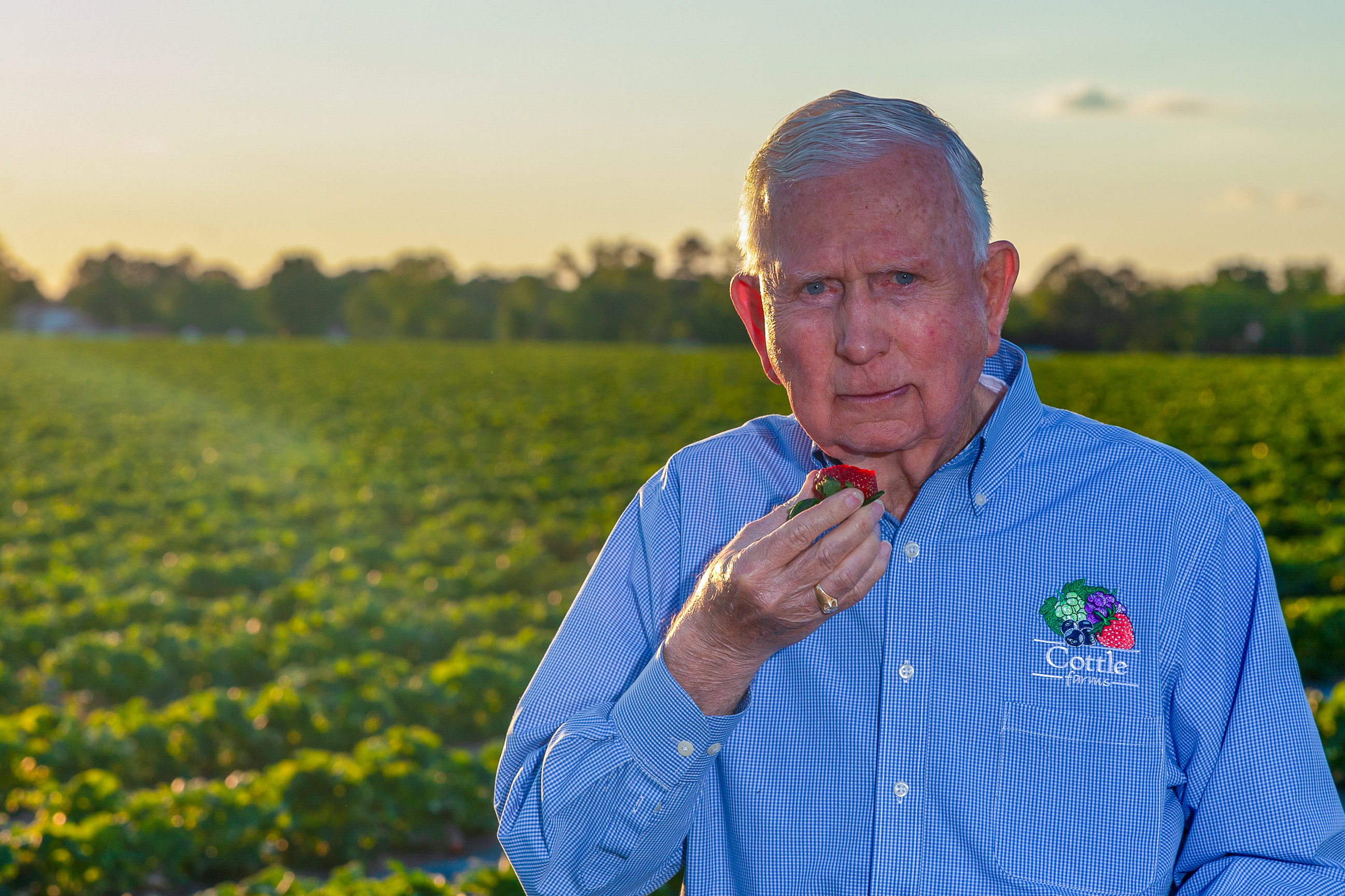 Commercial Branding - The Cain Gallery