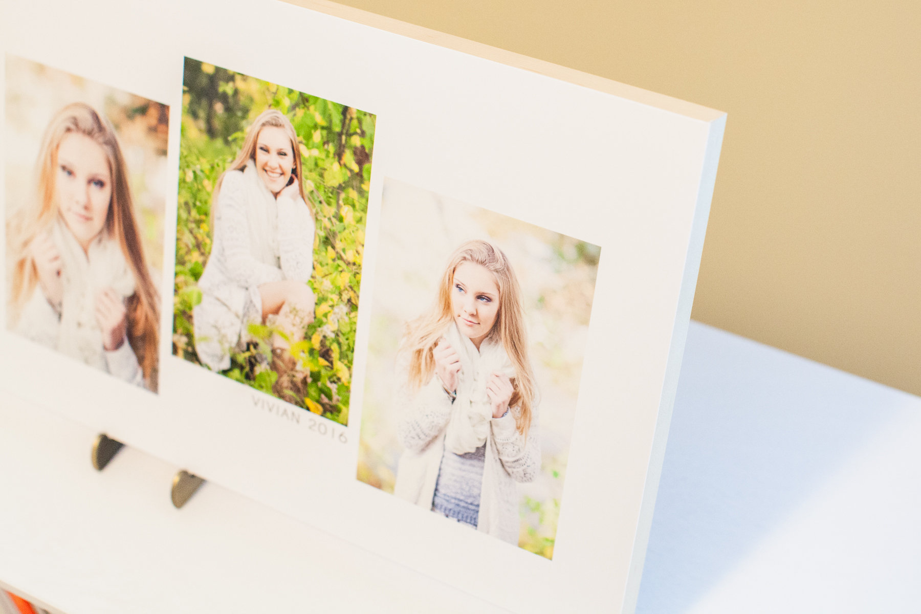 PRODUCTS - STORYBOARD STANDOUT - Erin Sheehan Photography