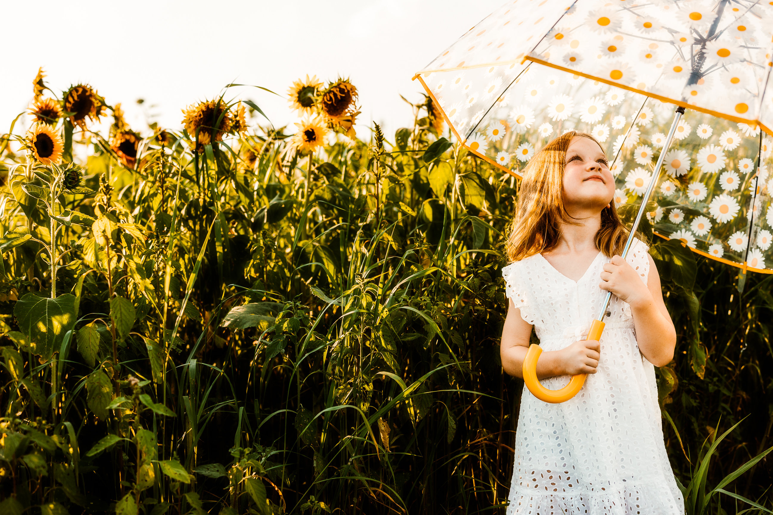 Sunflower Love - Jennifer L Adamy Photography