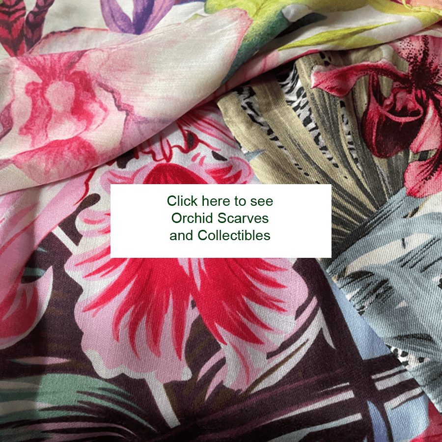 HOME - John M Alexander