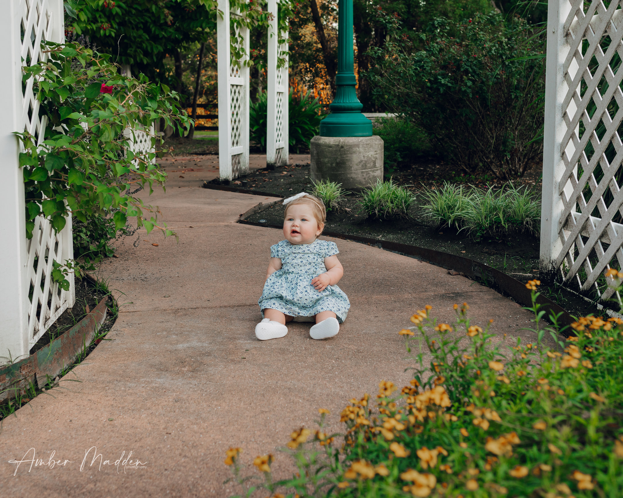 SELVERA FAMILY - Amber Madden