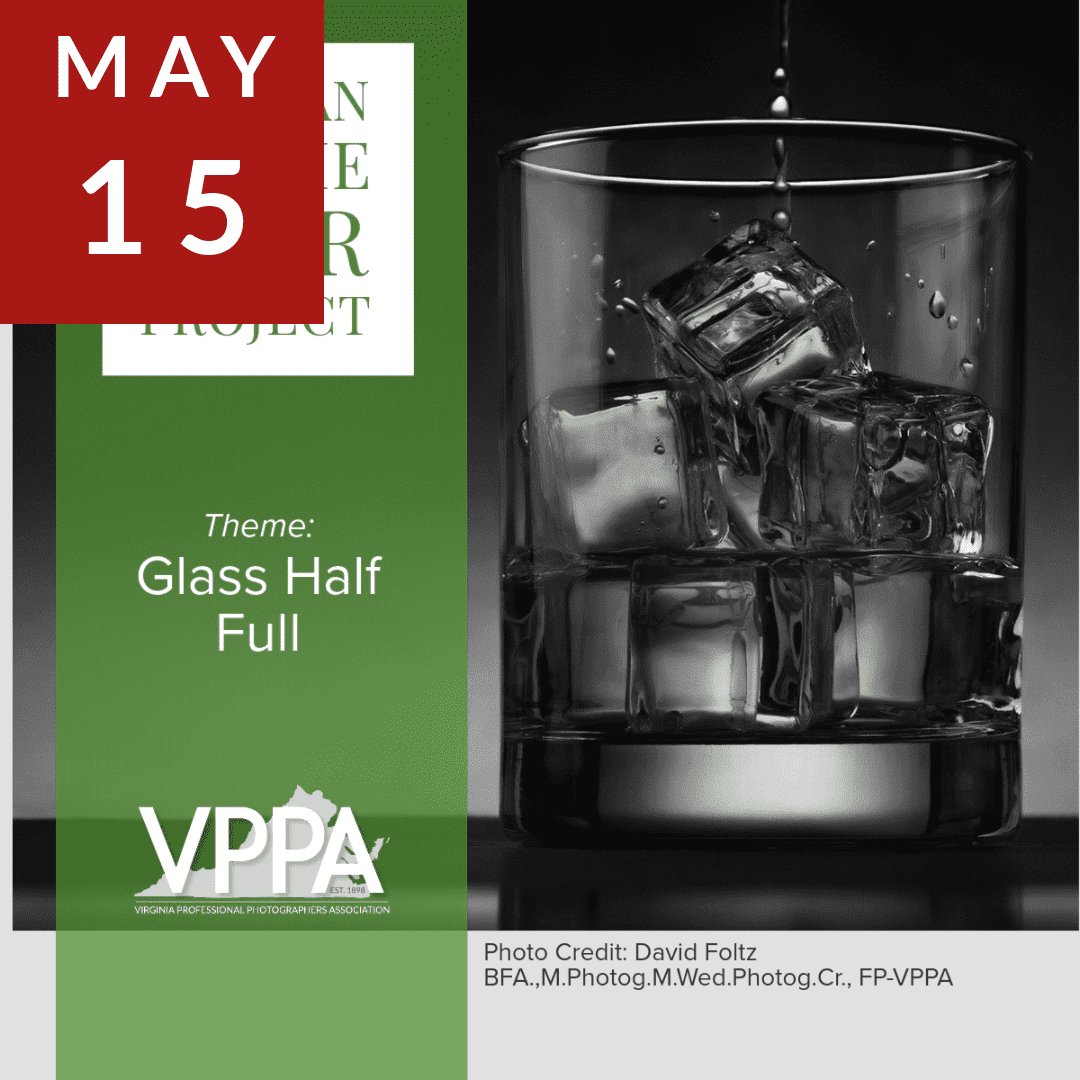 Virginia Professional Photographer's Association (VPPA)