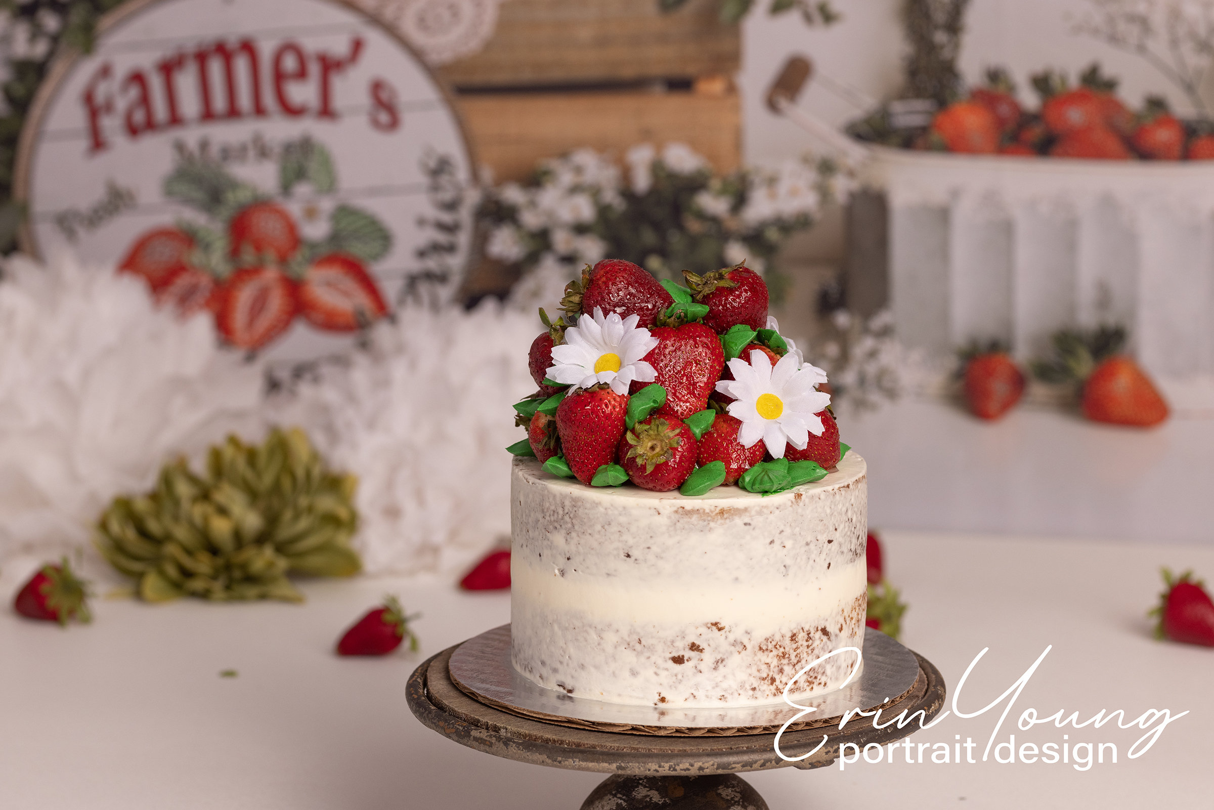 One Year Cake Smash Photos - Rochester, MN - Erin Young Portrait Design