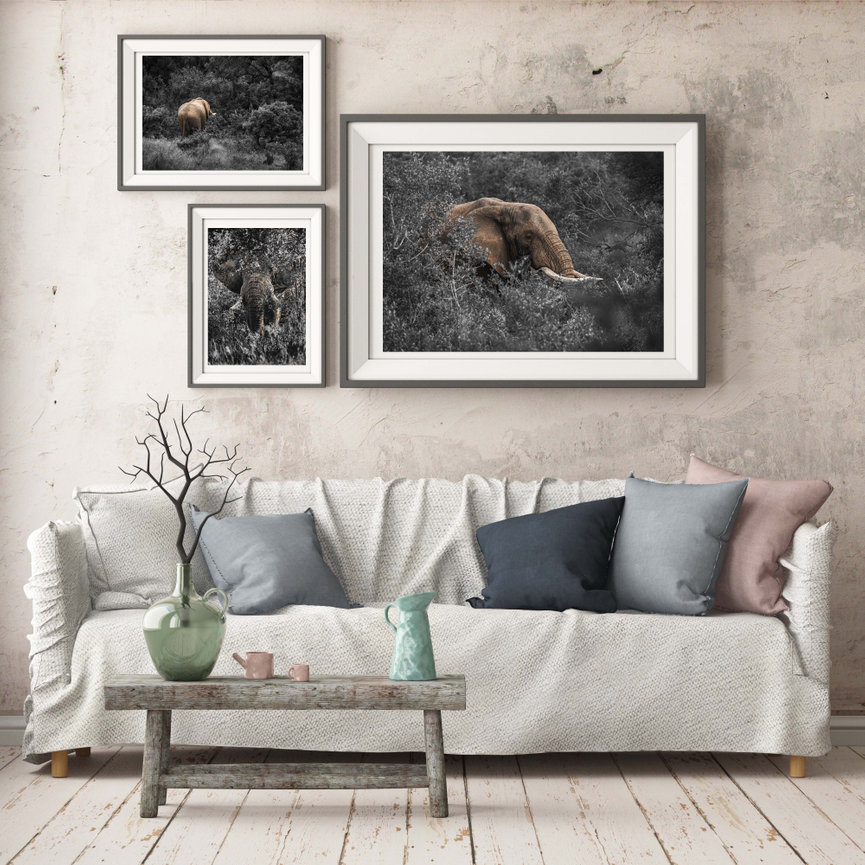 @ Monya - Monya Photography