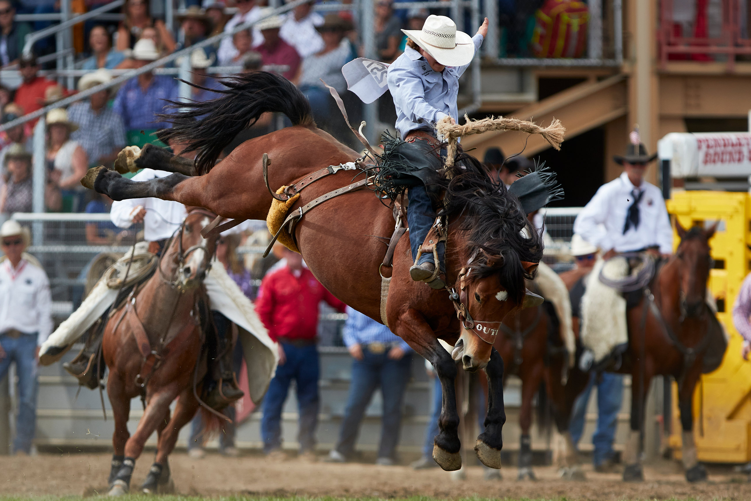 Billie-Jean Duff | Rodeo Photography