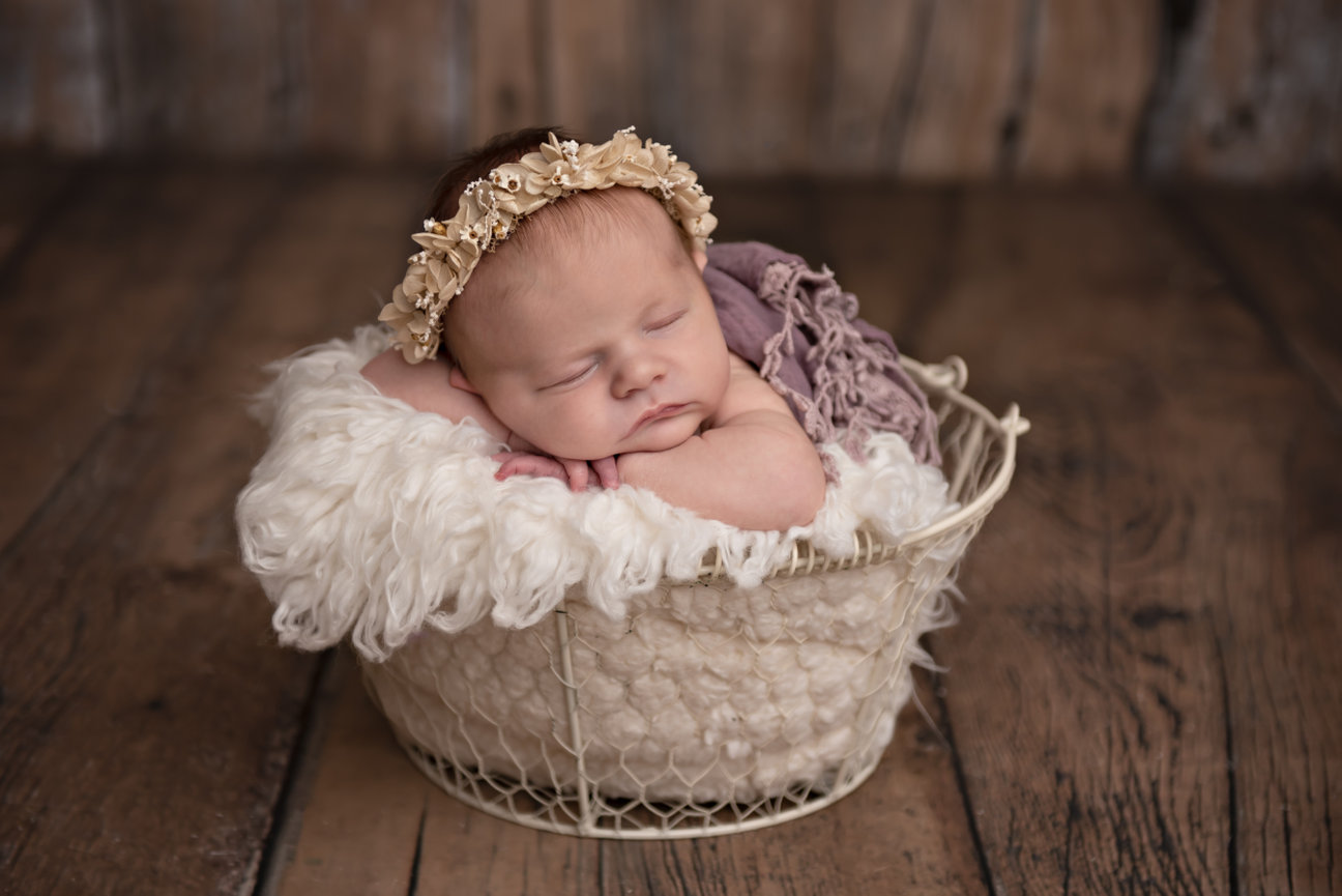 Newborn - In Bloom Photography