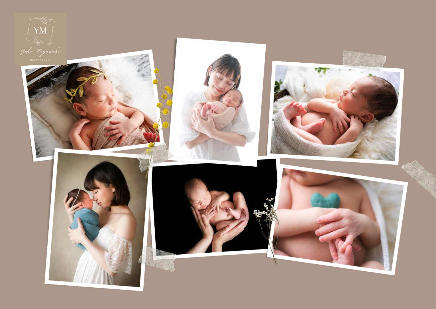 Happy New Year from Yoko Miyazaki Photography! - Yoko Miyazaki Photography