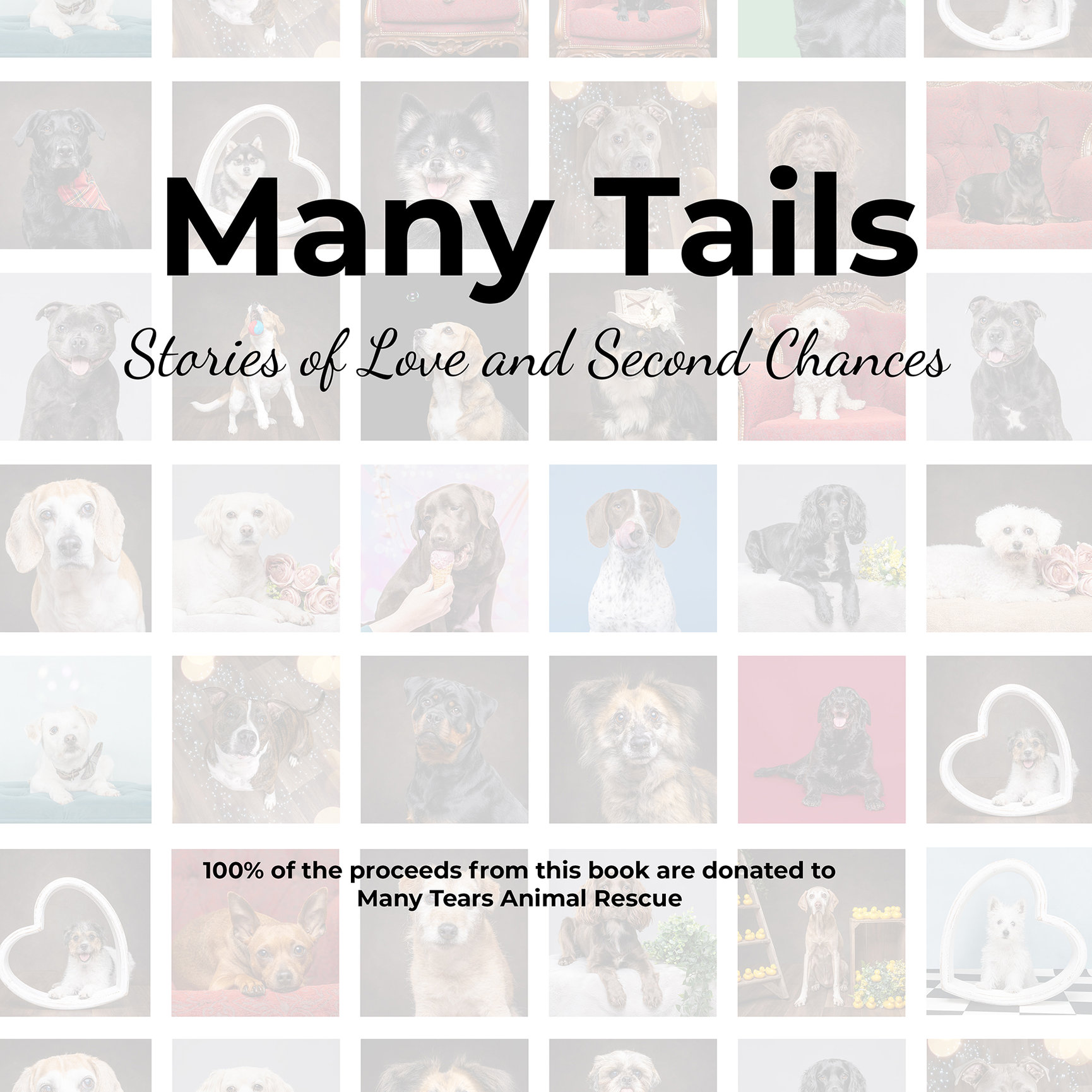 MANY TAILS THE BOOK - Christabel Photography