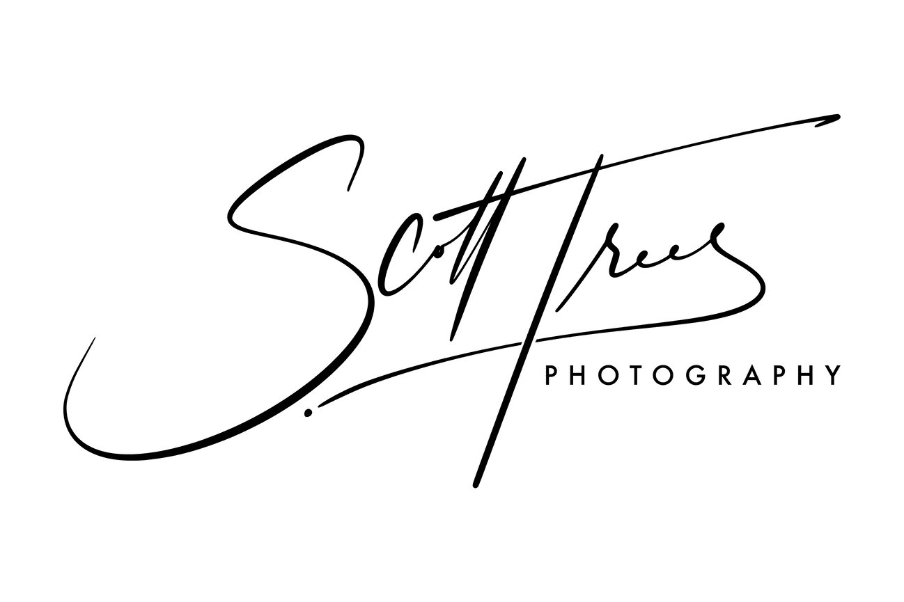 Client Galleries - Scott Trees Photography