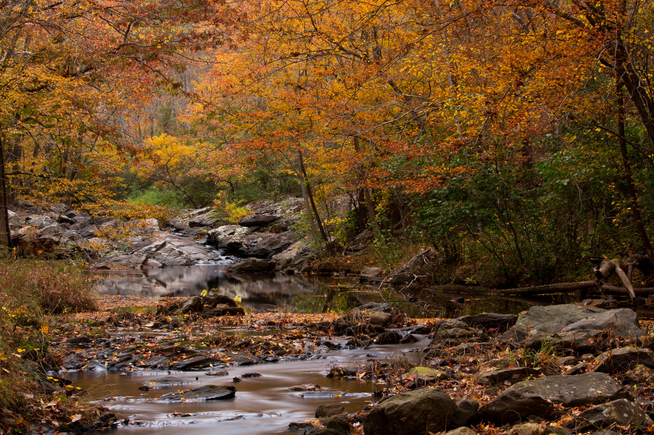 ARKANSAS FALL FOLIAGE - Nature Exposed Tours