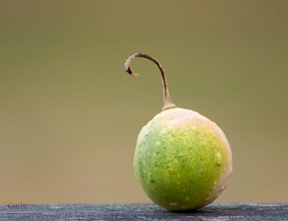 Grow Goodness with Sharon - Seeing Goodness