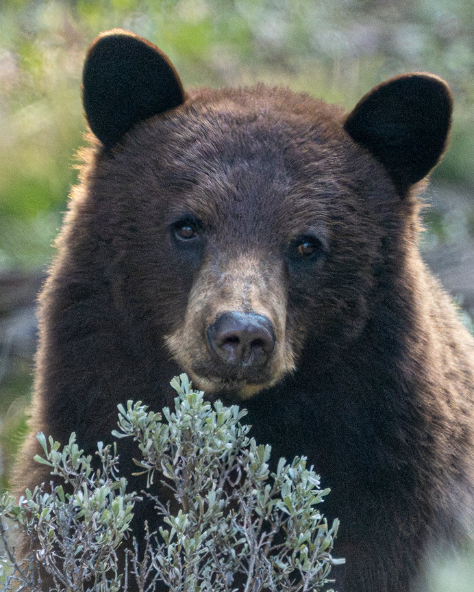 Nature Exposed Tours