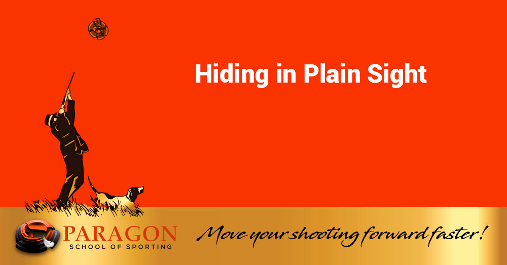 Hiding in Plain Sight