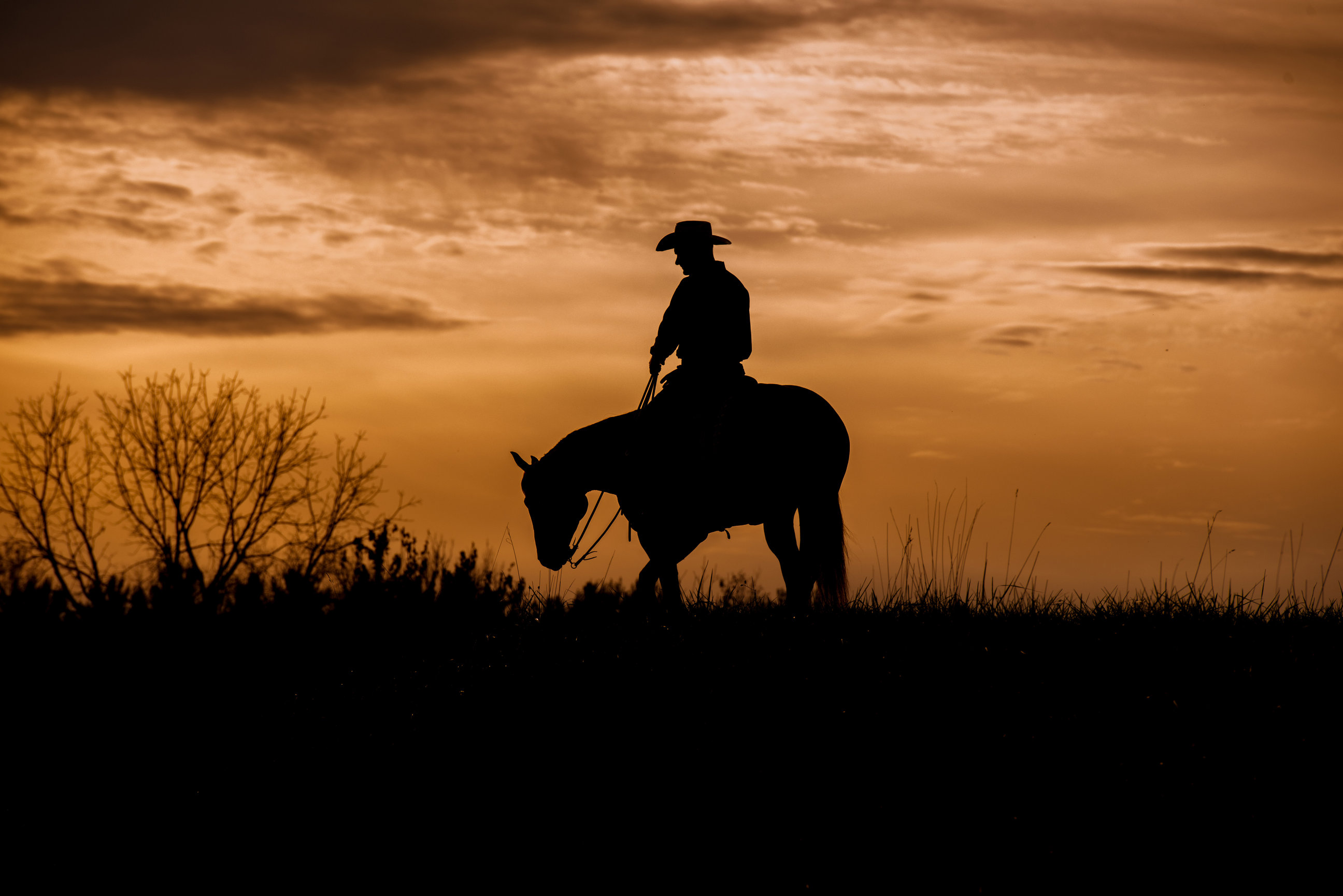 Wedding, Senior & Horse Show Photographer in Butler & Pittsburgh PA