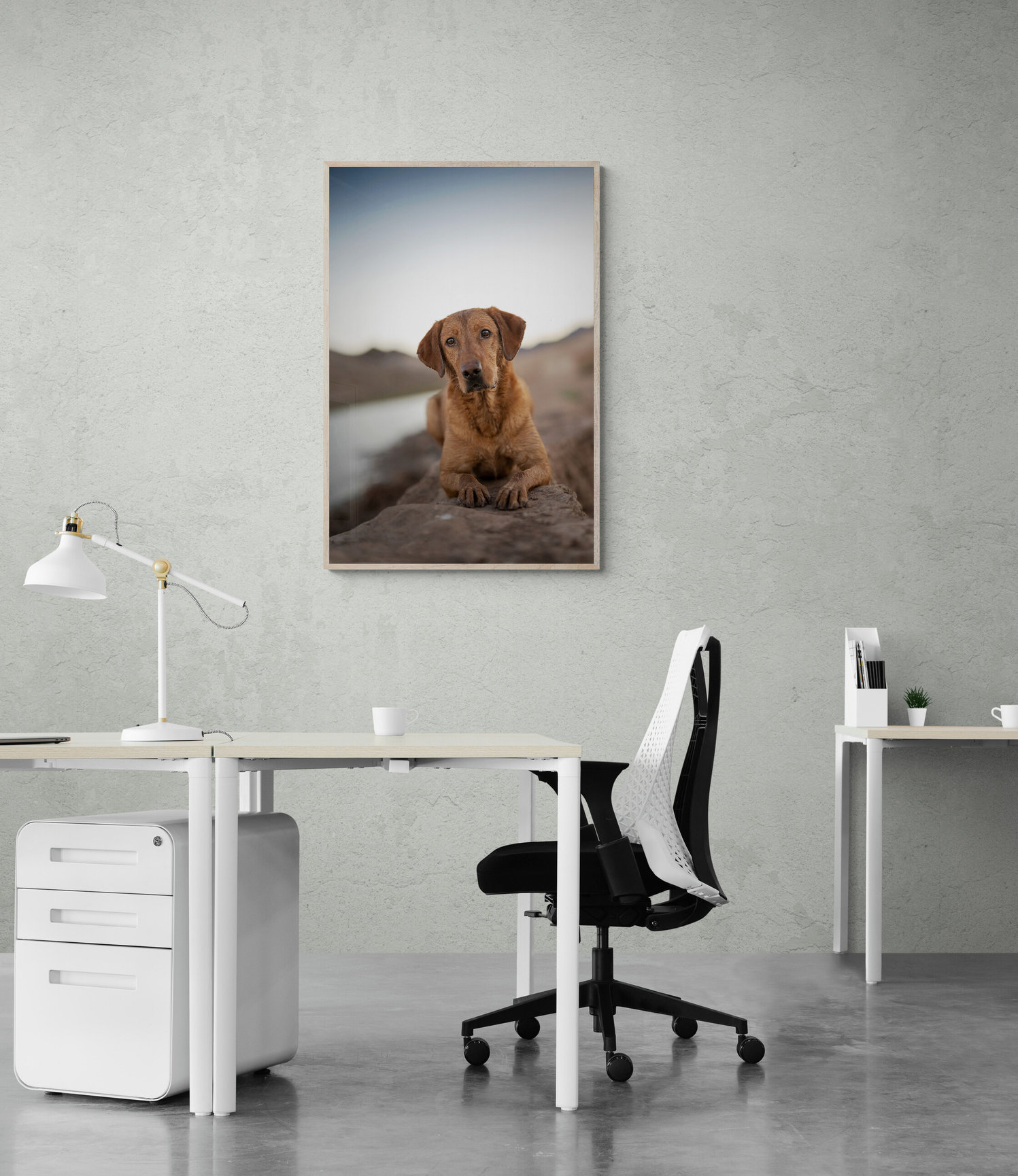 Wall Art for Business | Pawtraits by Nicole Pet Photography | Las Vegas, NV