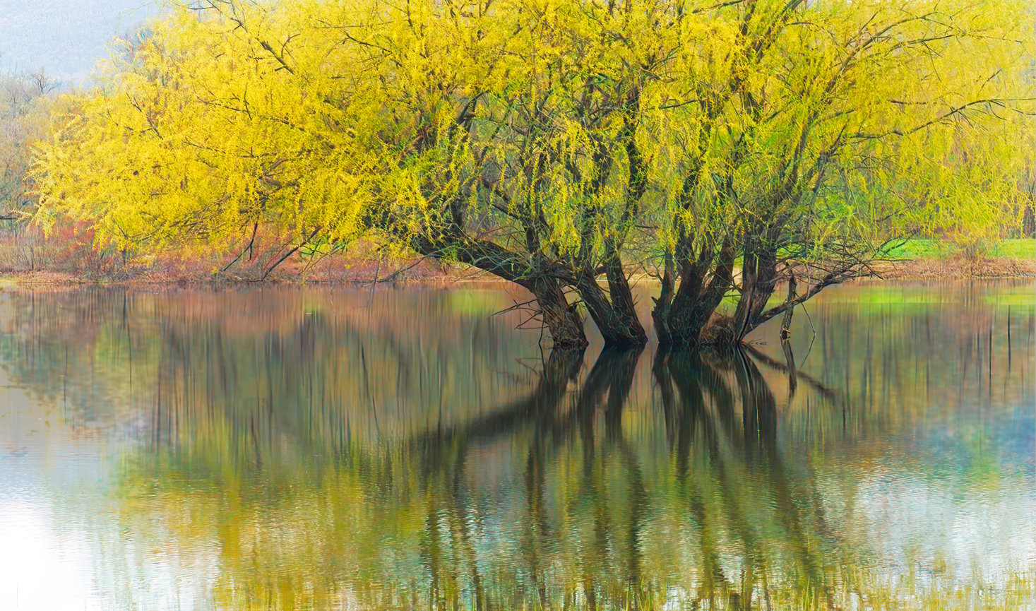 Nature Photo Art Prints - Laura L Nunn