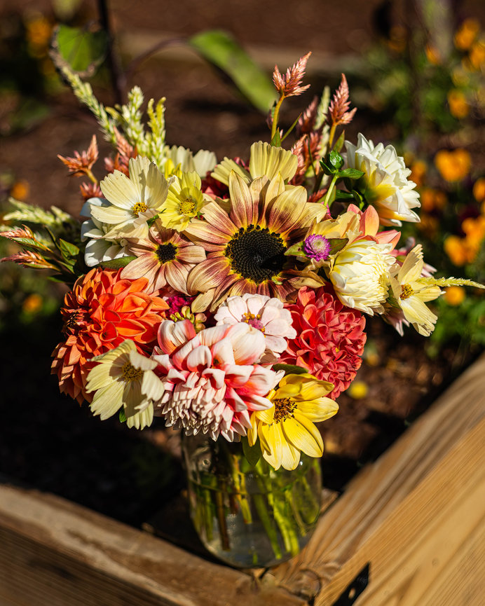 Wild Goose Flower Farm - Gallery by Laura Photography