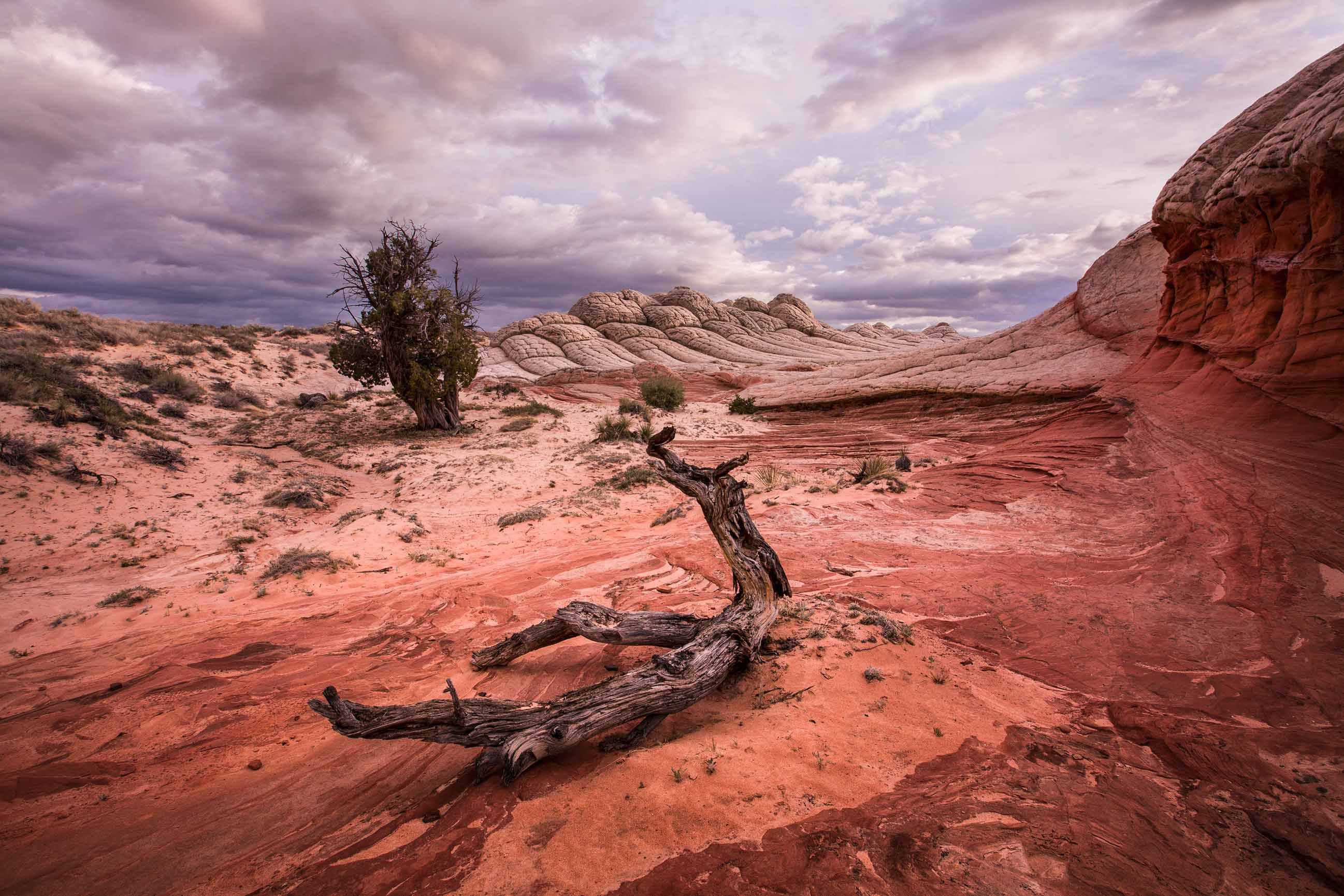Rob Strain - Southwest Fine Art Photography