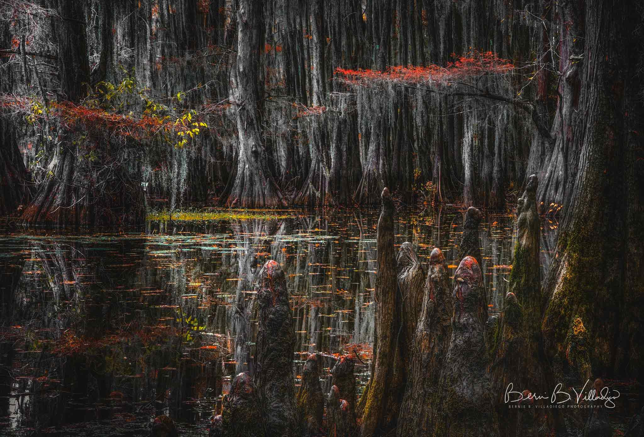 CADDO LAKE PHOTO WORKSHOP DETAILS - Rob Strain Fine Art Photography ...